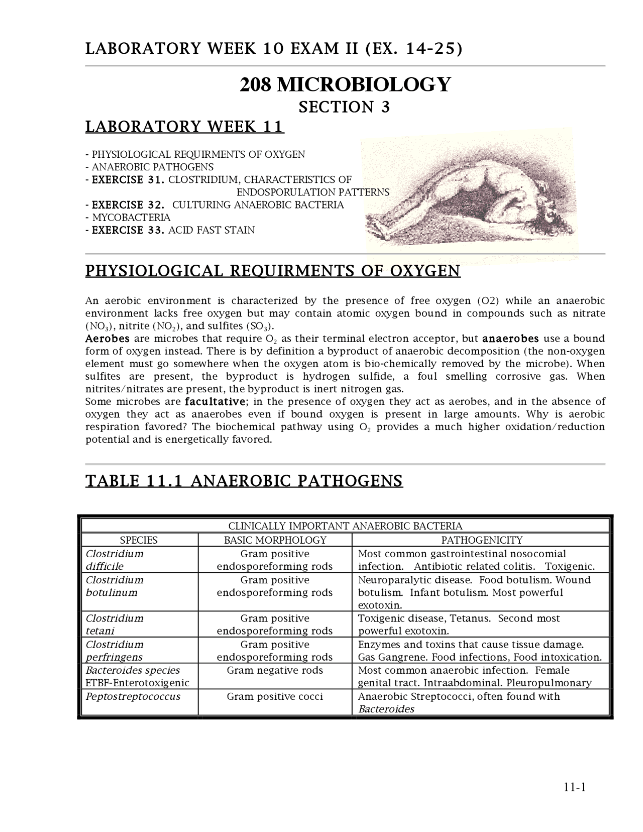 Physiological Requirements of Oxygen - Laboratory | BIOL 208 - Docsity
