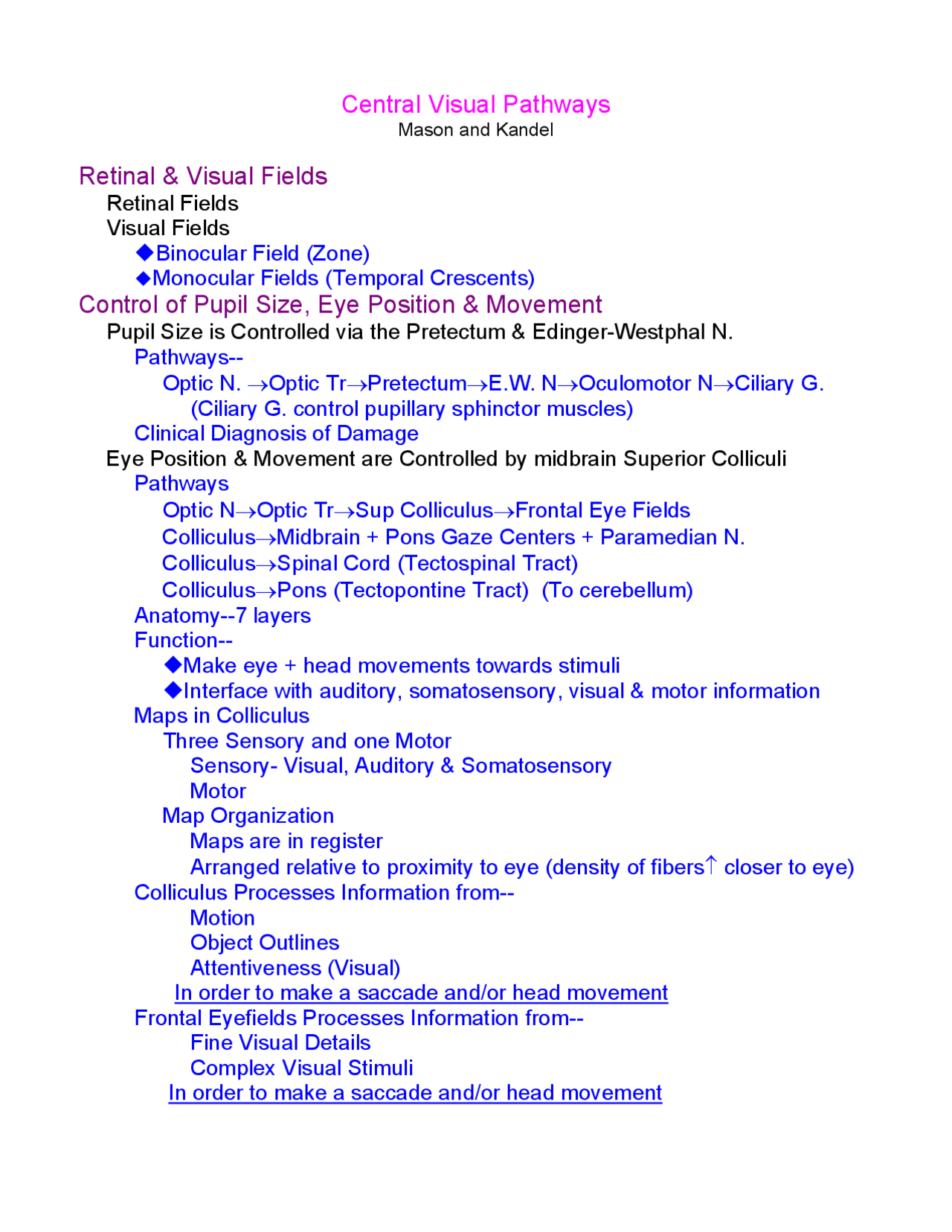 Notes On Central Visual Pathways Bios 481 Docsity