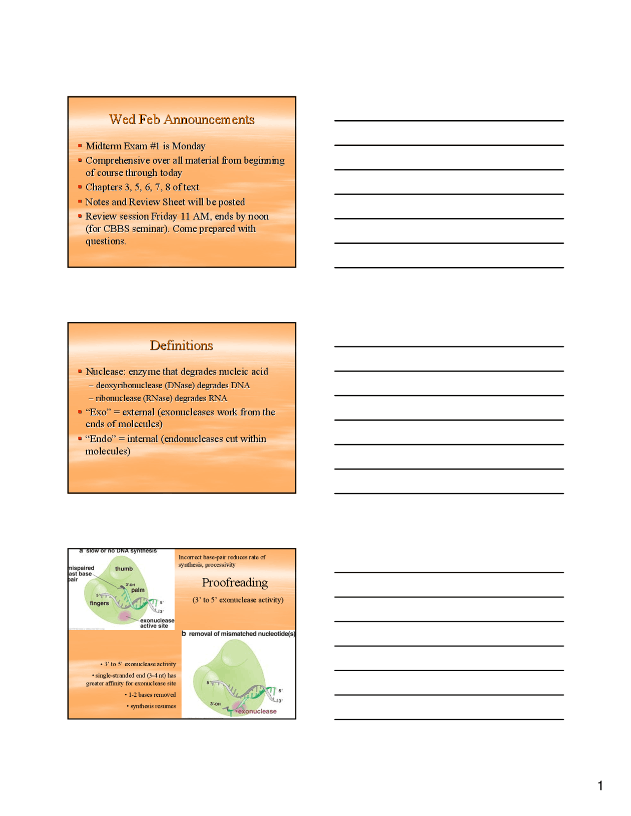 Enzymes Of Dna Replication Lecture Slides Bios 467 Docsity