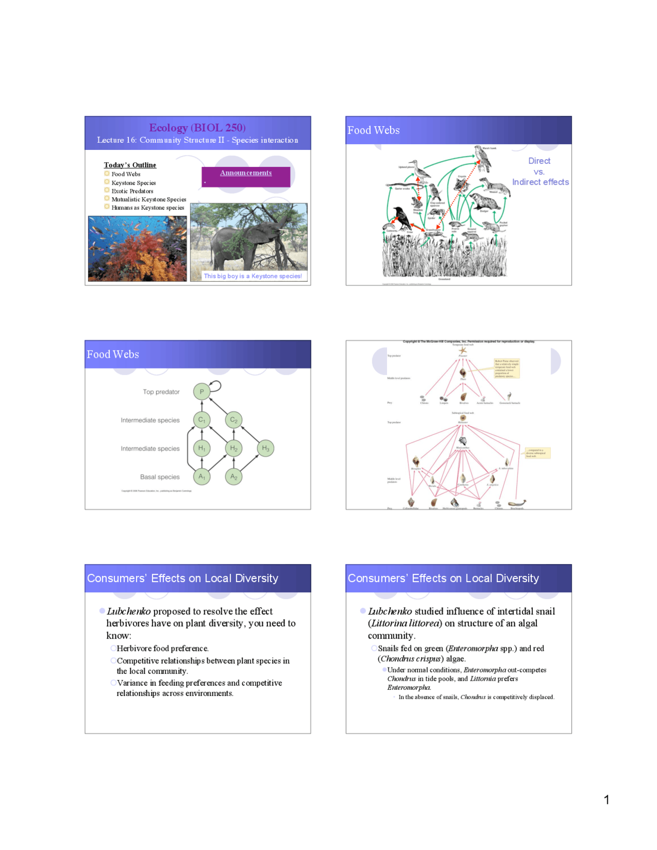 Notes on Food Web, Exotic Predators, Species Interaction - Slides ...