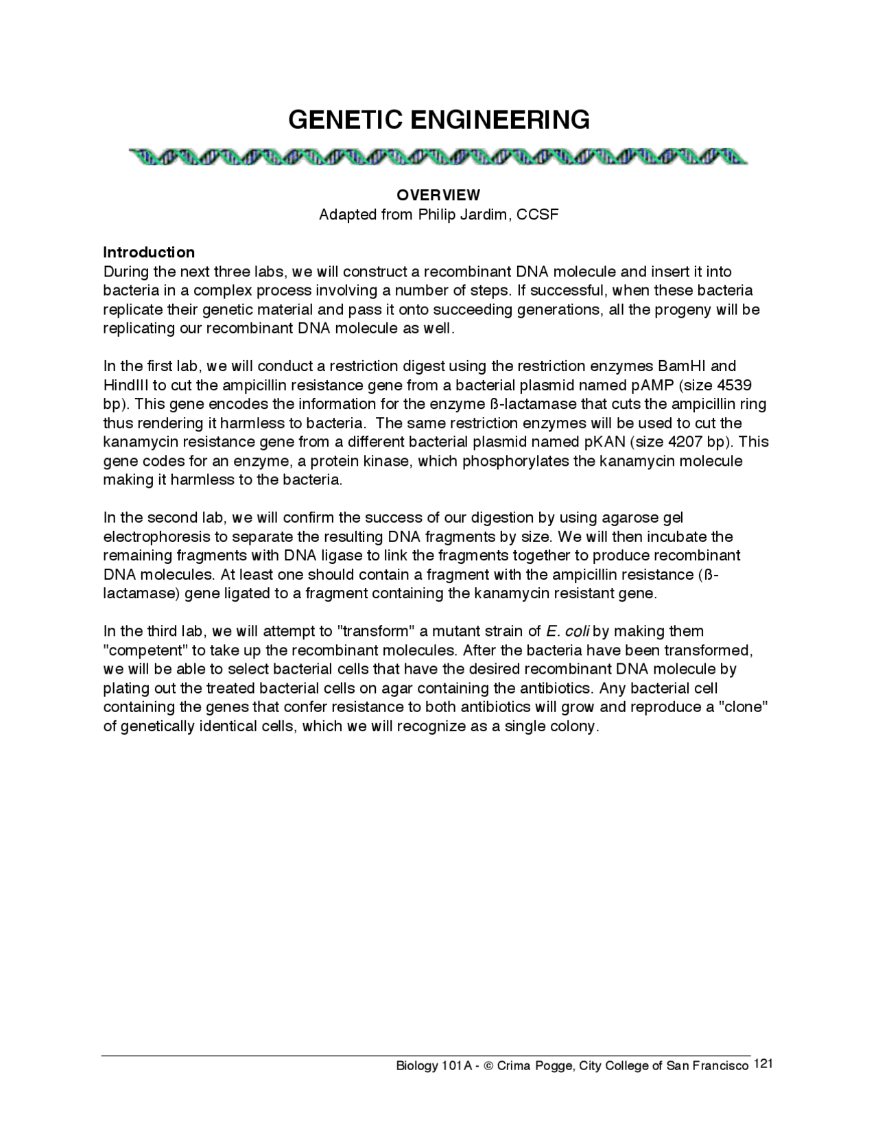 An Overview of Genetic Engineering - Experiment | BIO 101A - Docsity