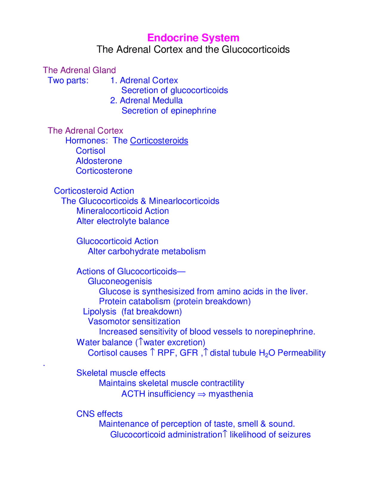Human Physiology - Endocrine Systems - Notes | BIOS 355 - Docsity