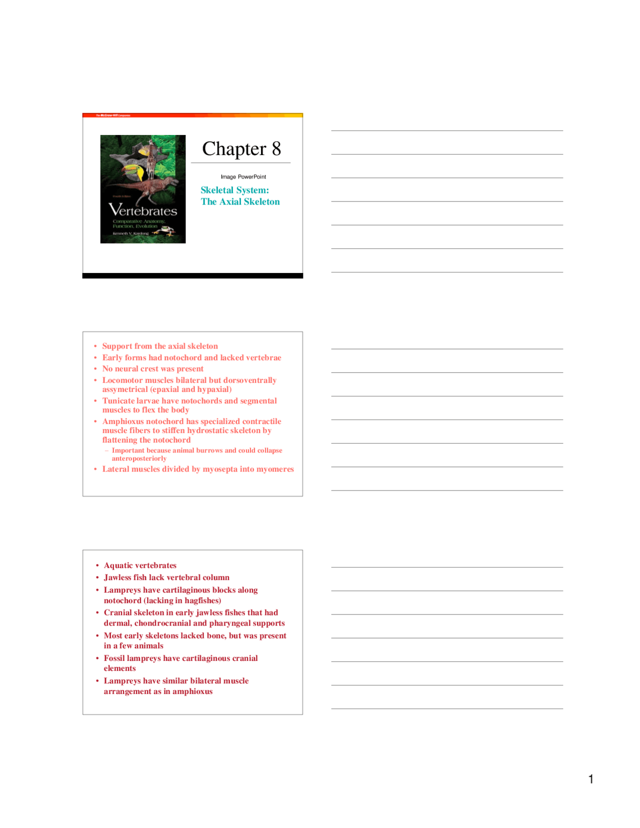 Lecture Slides On Skeletal System And The Axial Skeleton Bios 447