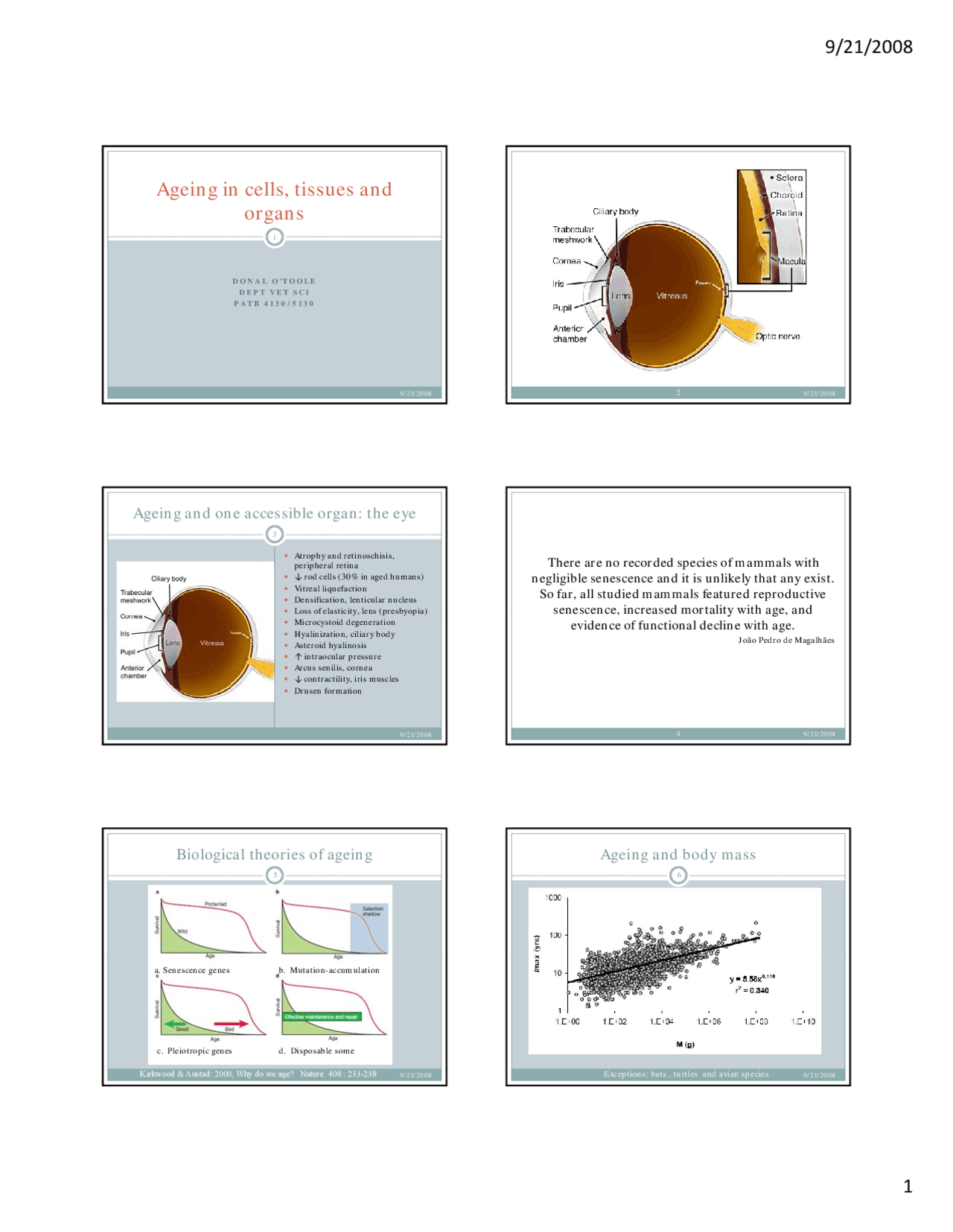 Ageing In Cells Tissues And Organs Lecture Slides Patb 4130 Docsity