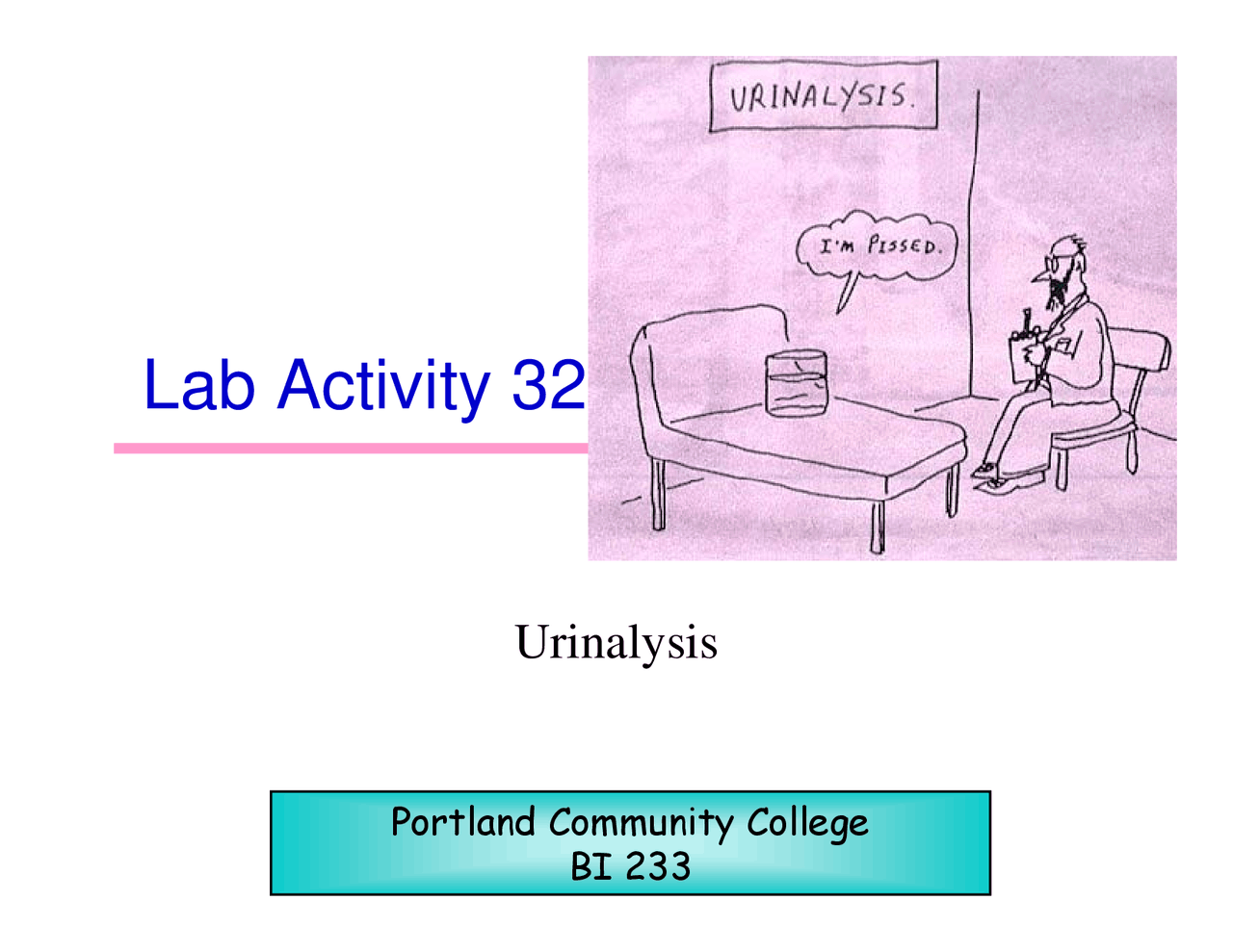 Physical Characteristics of Urine - Lecture Slide | BI 233 - Docsity
