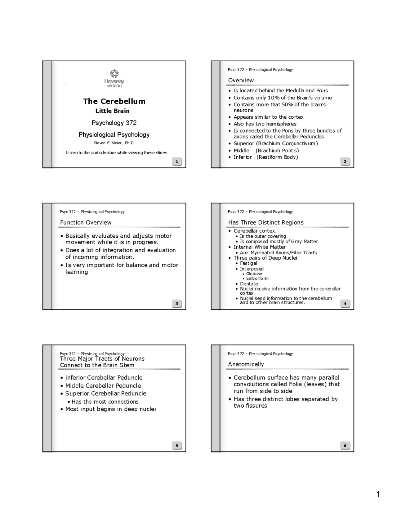 The Cerebellum Physiological Psychology Slides Psyc 372 Docsity