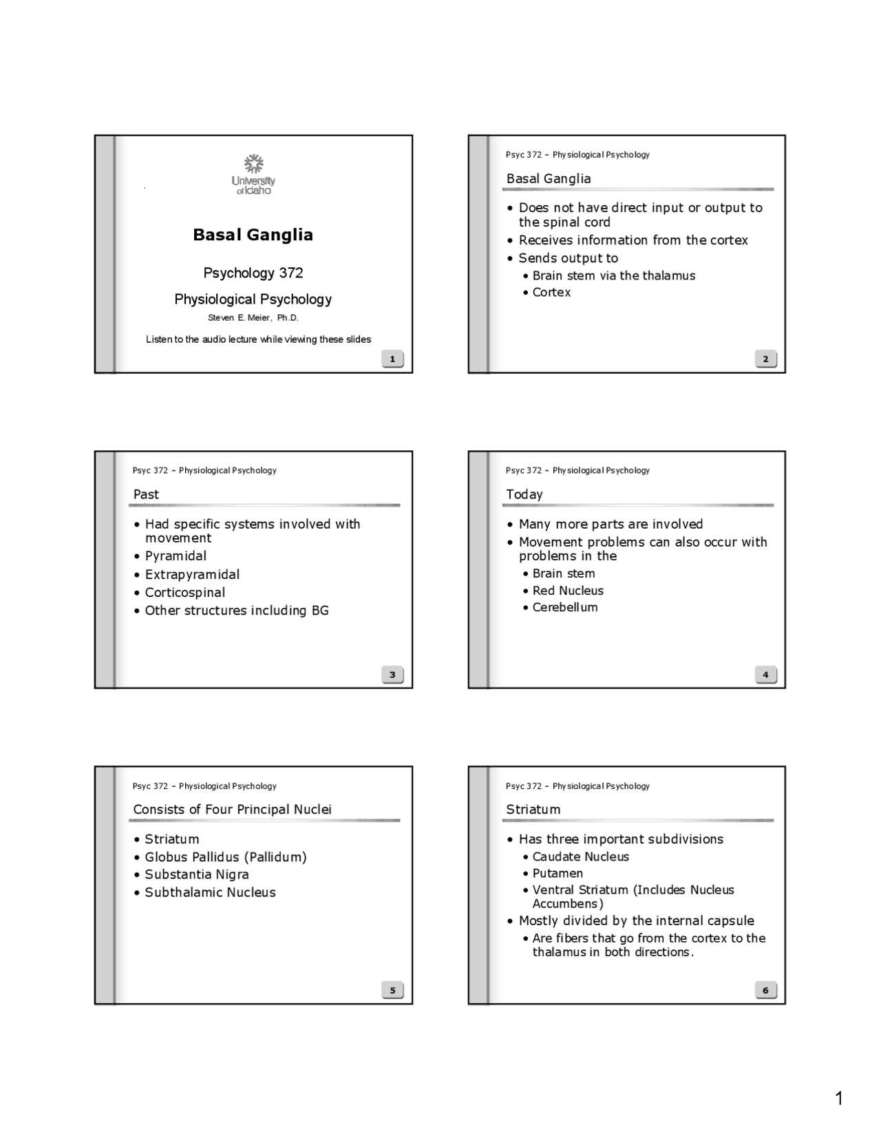 Basal Ganglia in the Striatum - Lecture Slides | PSYC 372 - Docsity