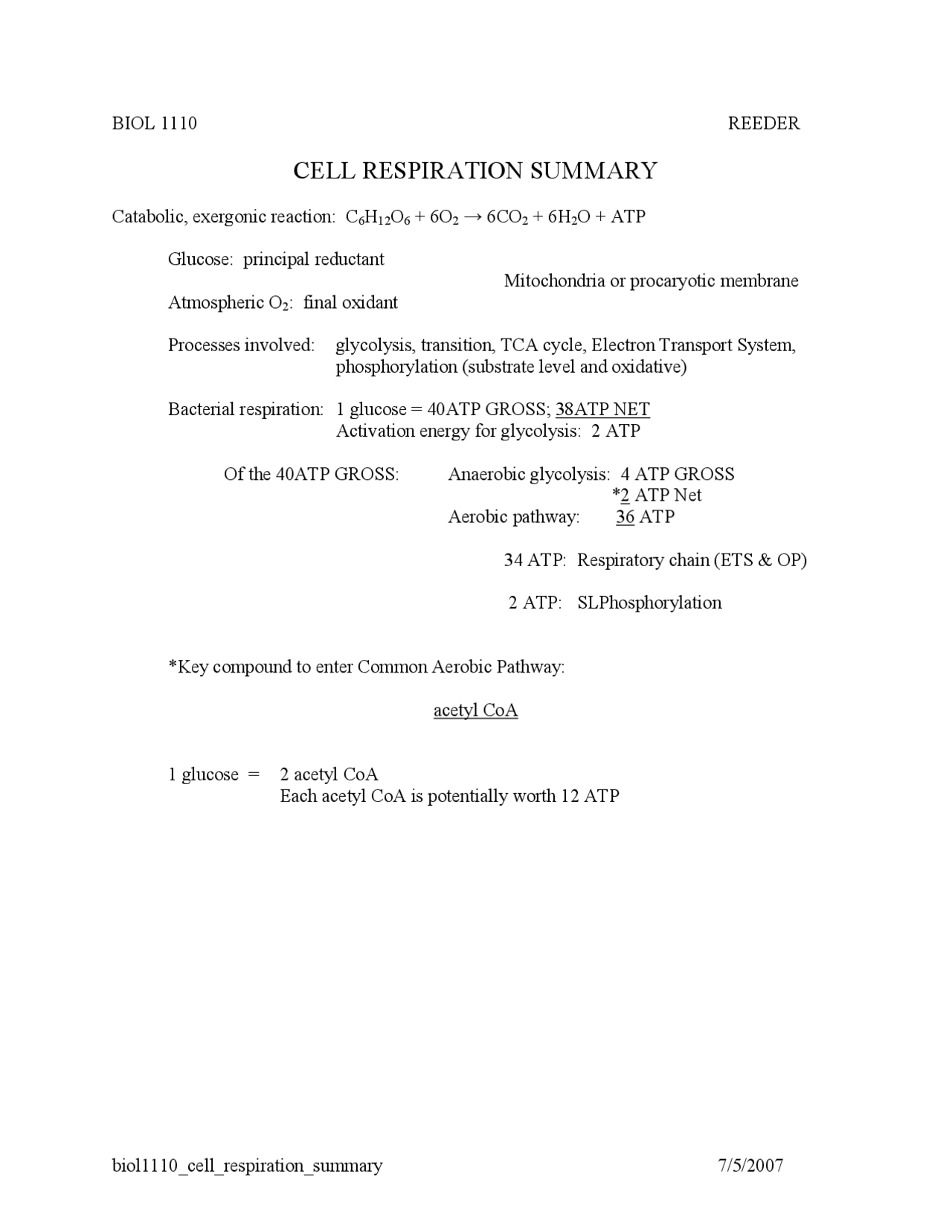 Notes On Cell Respiration General Biology I Lecture Biol 1110 Docsity