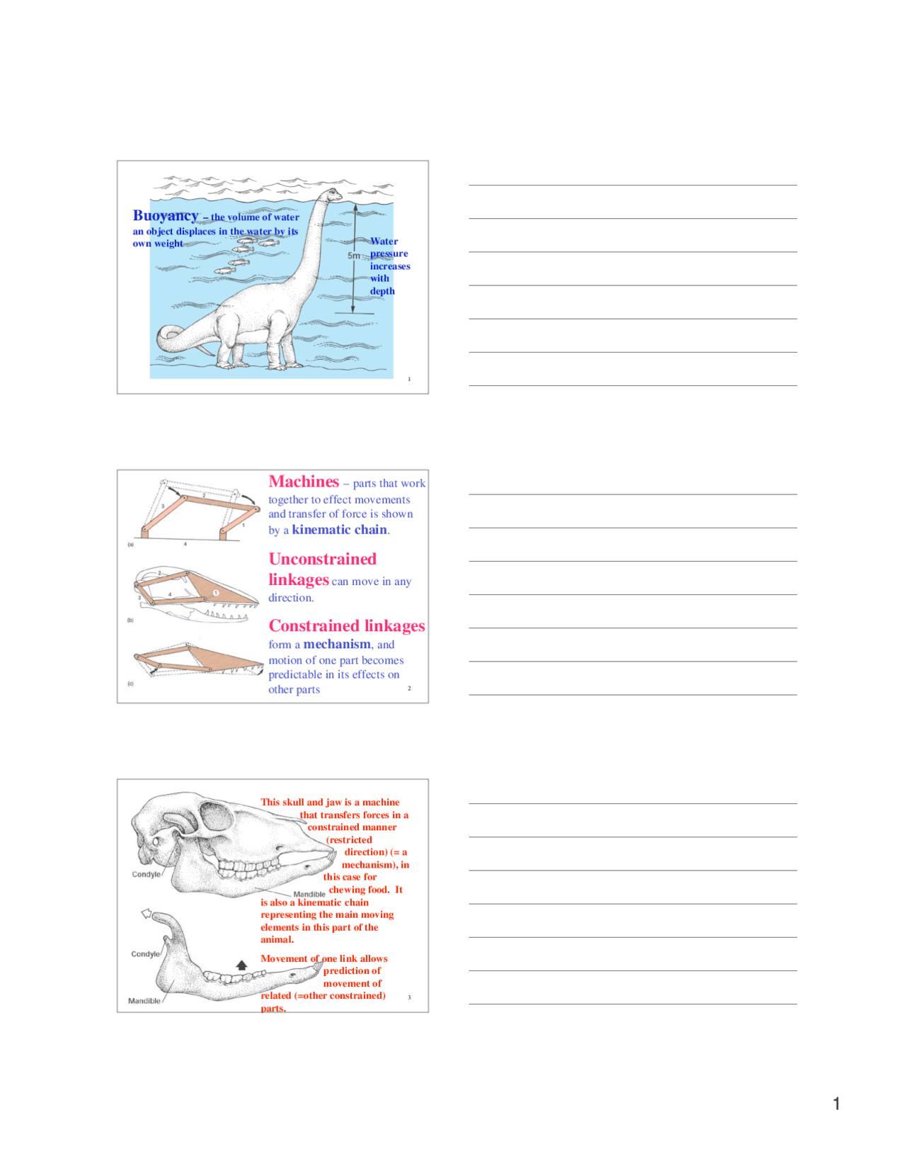 Buoyancy, Machines, Constrained and Unconstrained Linkages | BIOS 447 - Docsity