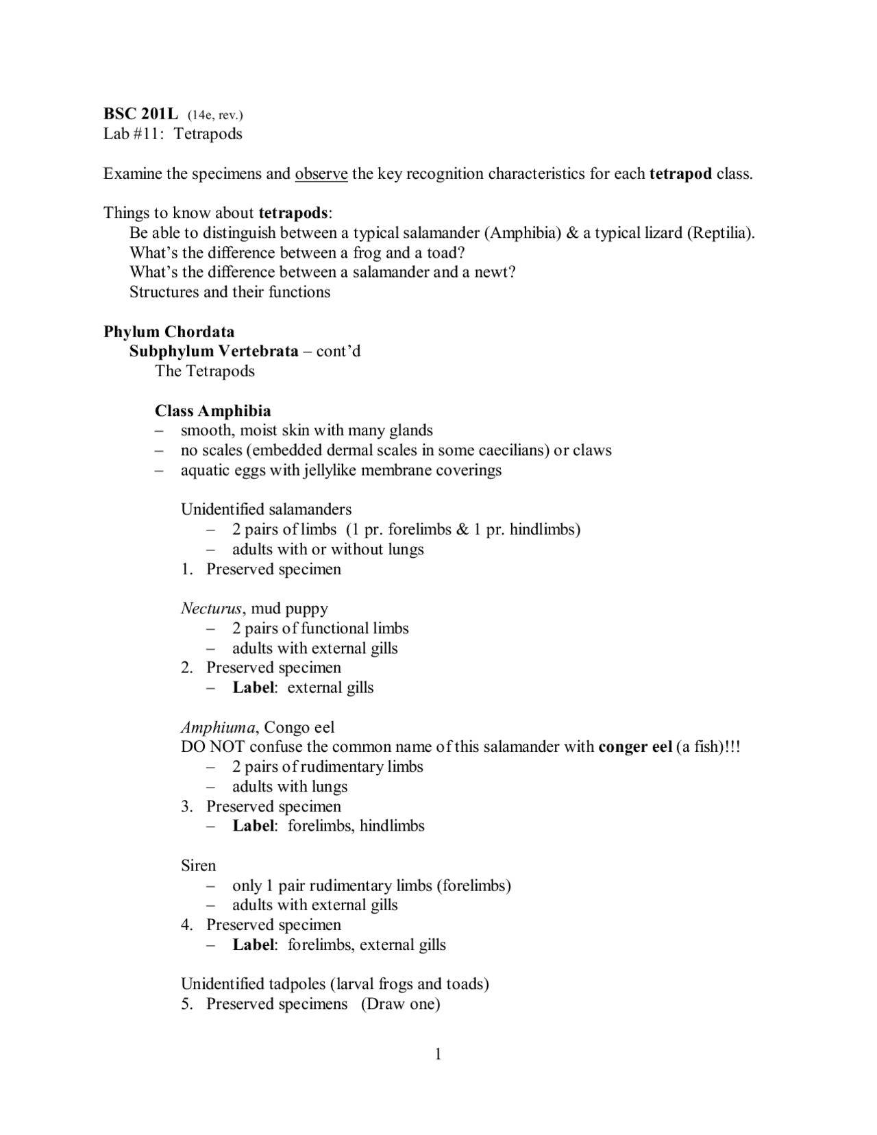Tetrapods - Lab # 11 - General Zoology | BSC 201 - Docsity