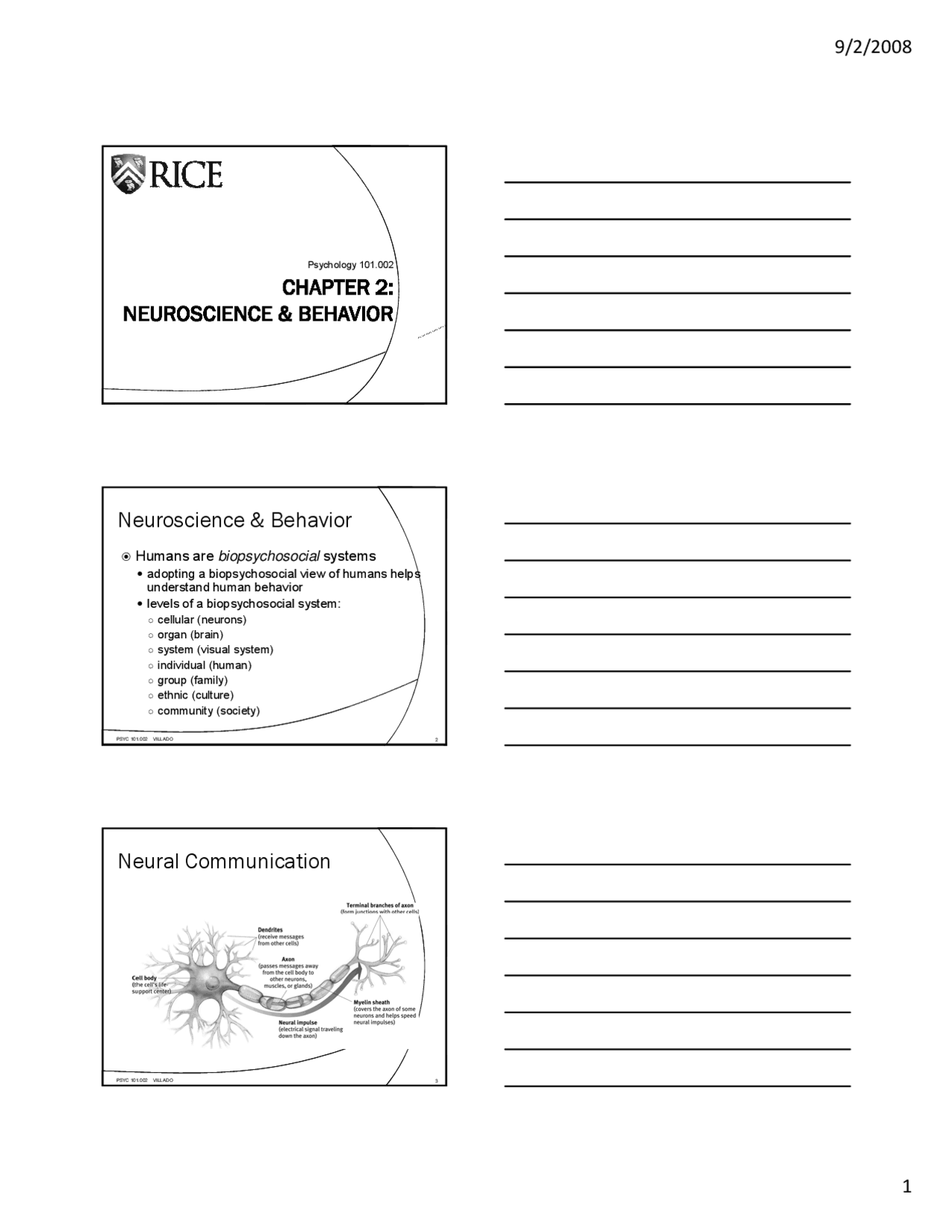 Lecture Slides On Neuroscience And Behavior Psyc 101 Docsity
