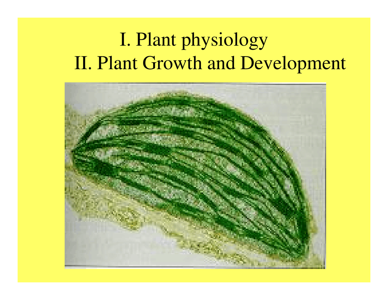 Plant Physiology Principles Of Horticulture Slides Plsc 201 Docsity