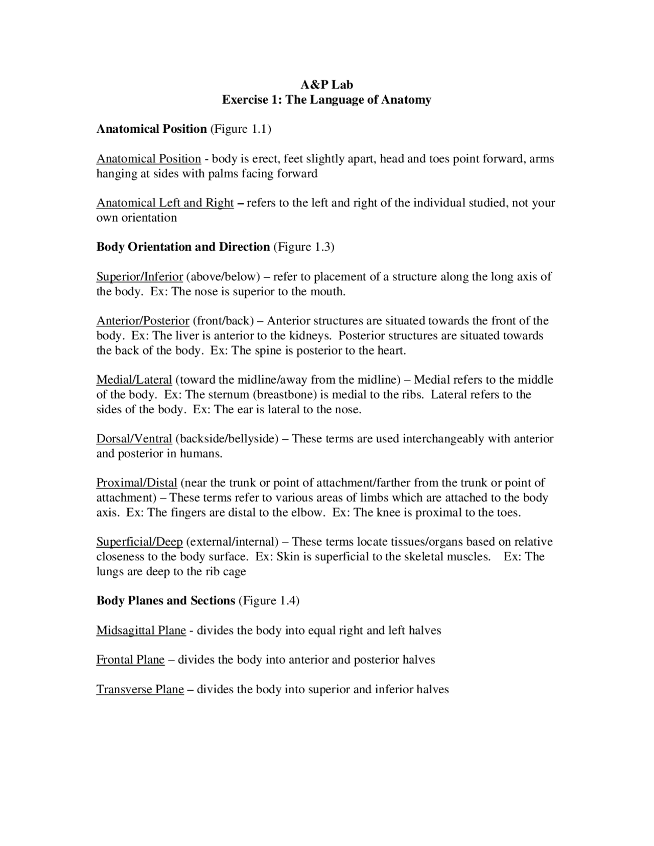 Exercise 1 The Language Of Anatomy BIOL 223L Docsity