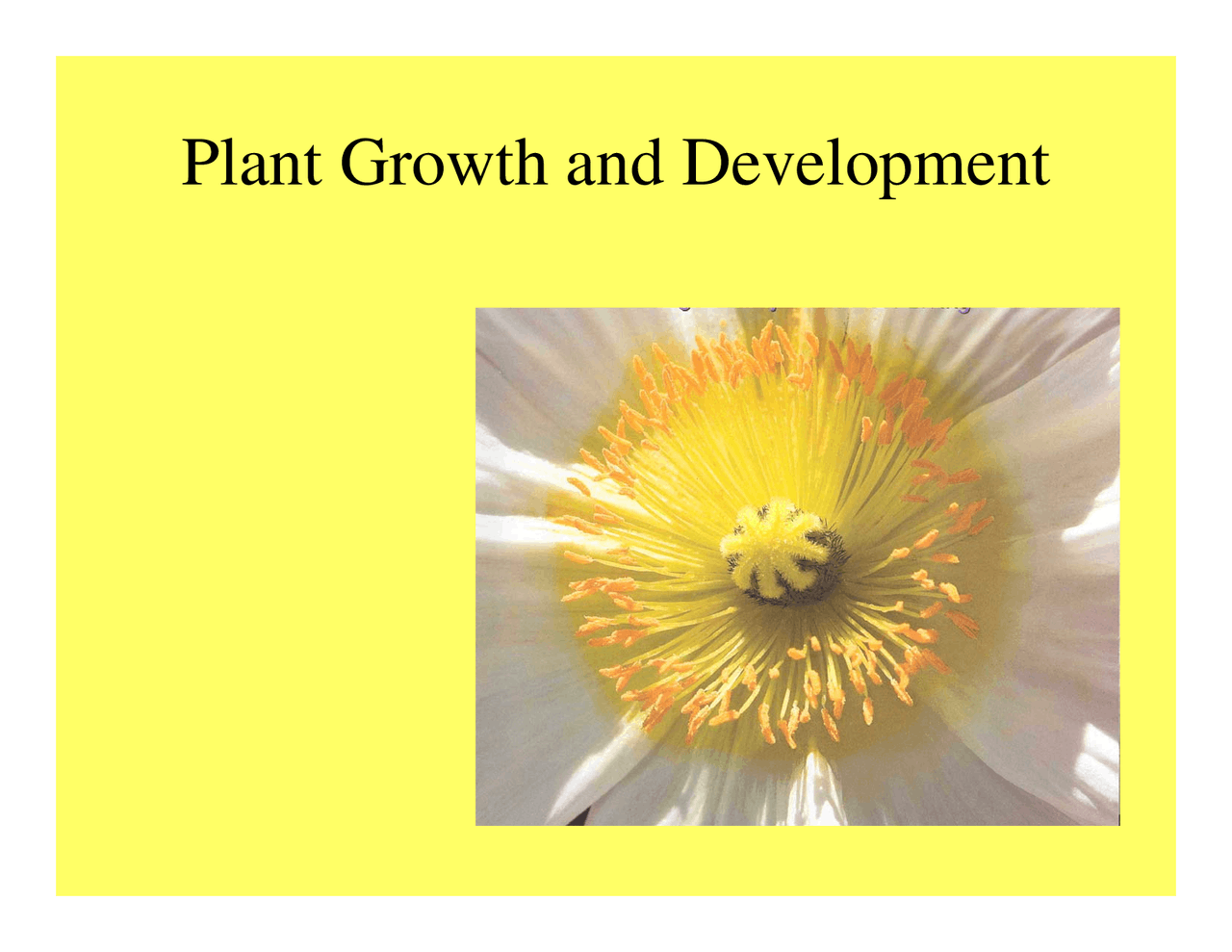 Plants Growth And Development In Horticulture Lecture Slides Plsc