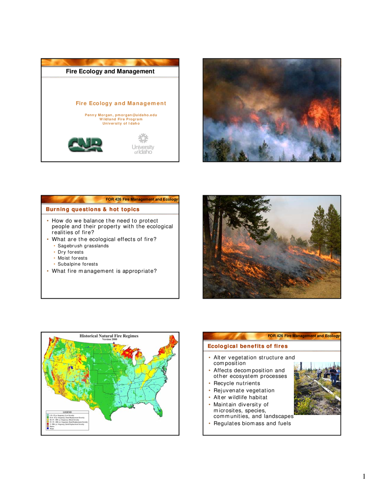 Introduction to Fire Ecology and Management - Lecture Slides | FOR 426 ...