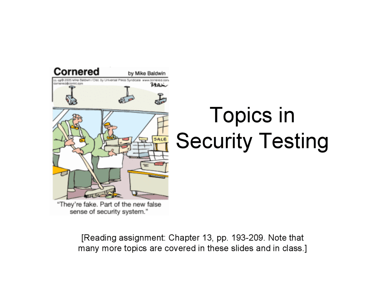 Computer Security Testing And Approach To The Software Security Se