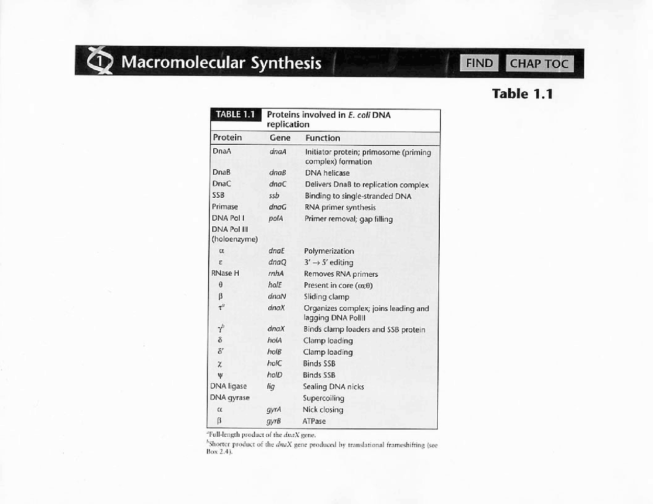 Lecture Slides On Macromolecular Synthesis Bio 366 Docsity