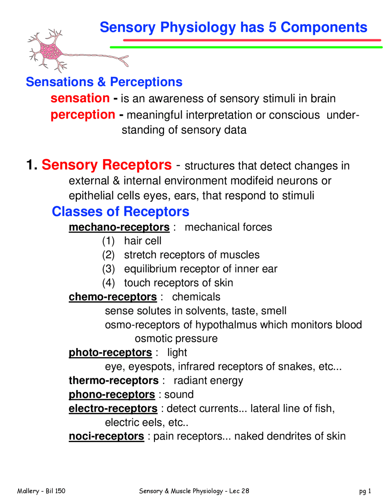 Notes on Sensory Physiology - General Biology | BIL 150 - Docsity