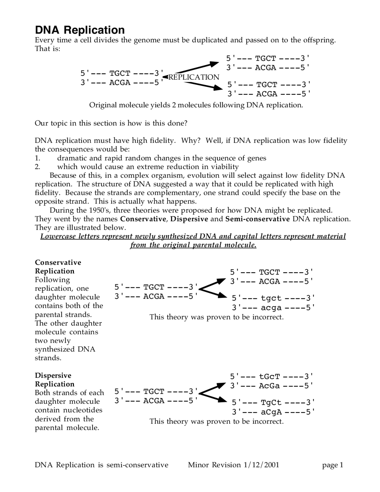 DNA Replication - Molecular Biology | BIO 344 | Exams Molecular biology ...