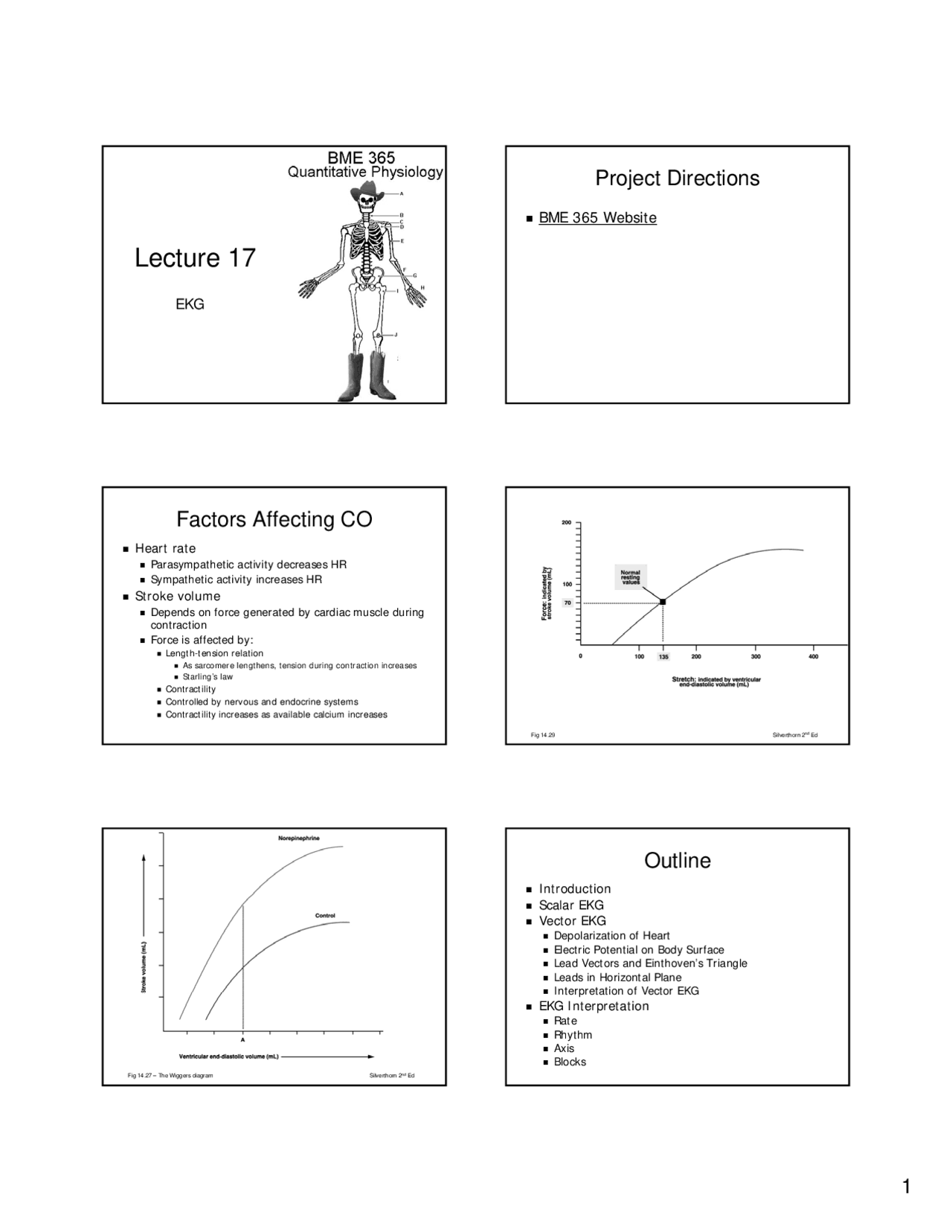 EKG - Lecture Slides - Quantitative Engineering Physiology I | BME 365R - Docsity