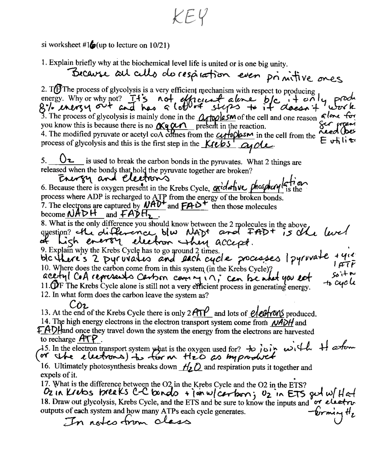 Worksheet 16 Solutions 18 Problems On Laboratory Bio 1101 Docsity