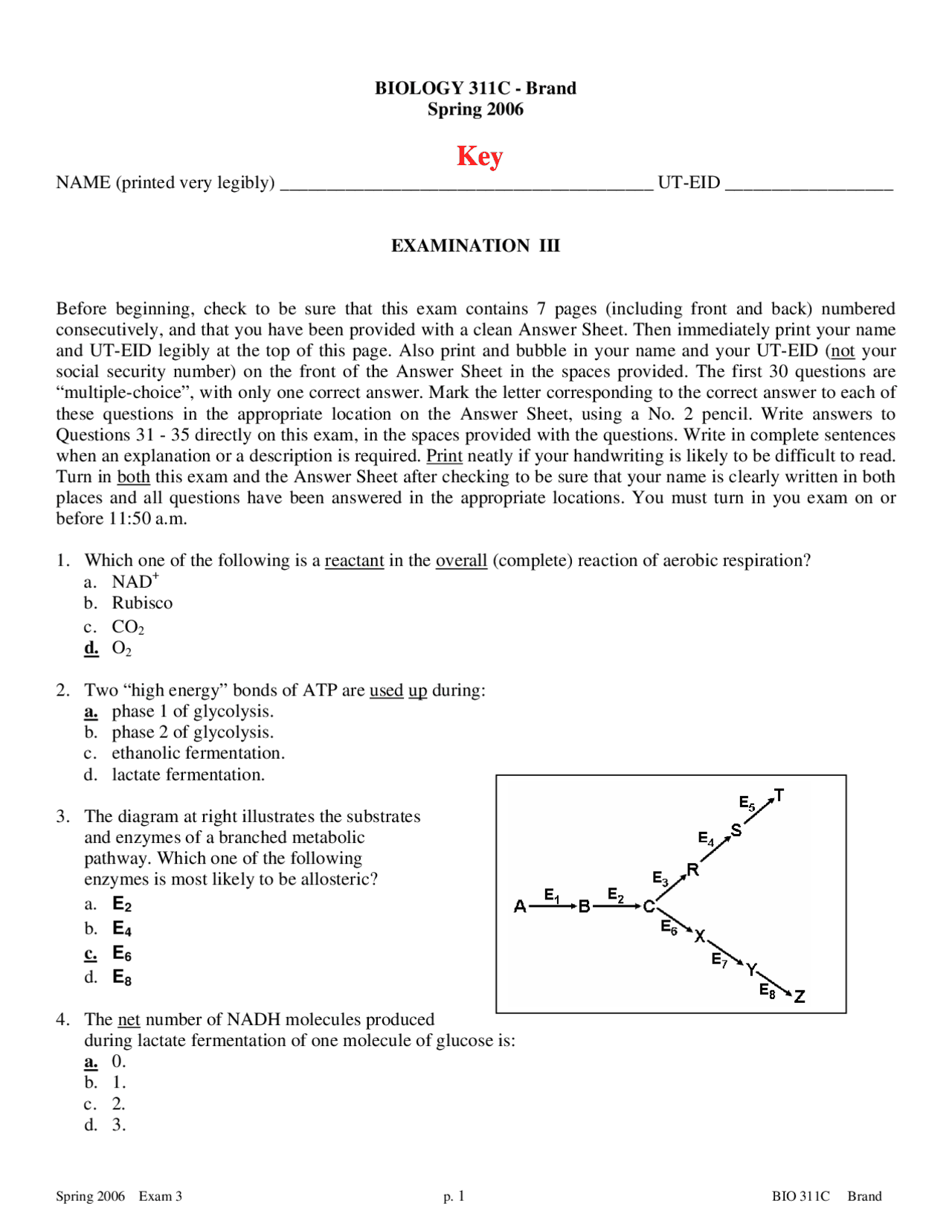Introductory Biology I Exam 3 With Answers Bio 311c Docsity