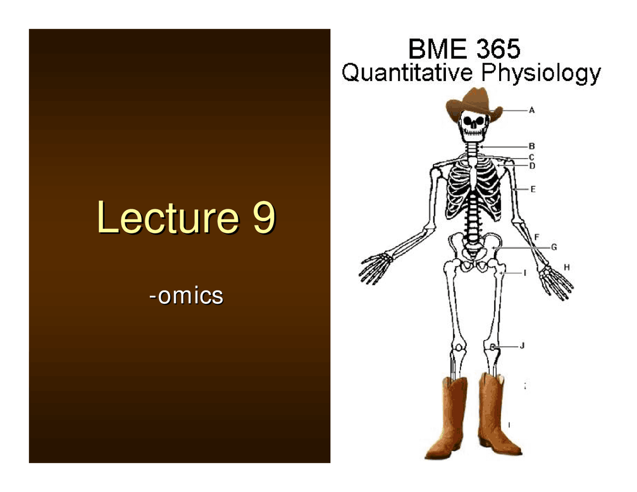 Gene Expression Analysis Lecture Slides Bme 365r Docsity