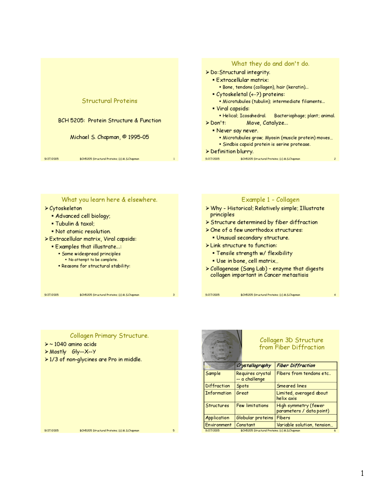 Protein Structure And Functions Lecture Slides Bch 5505 Docsity
