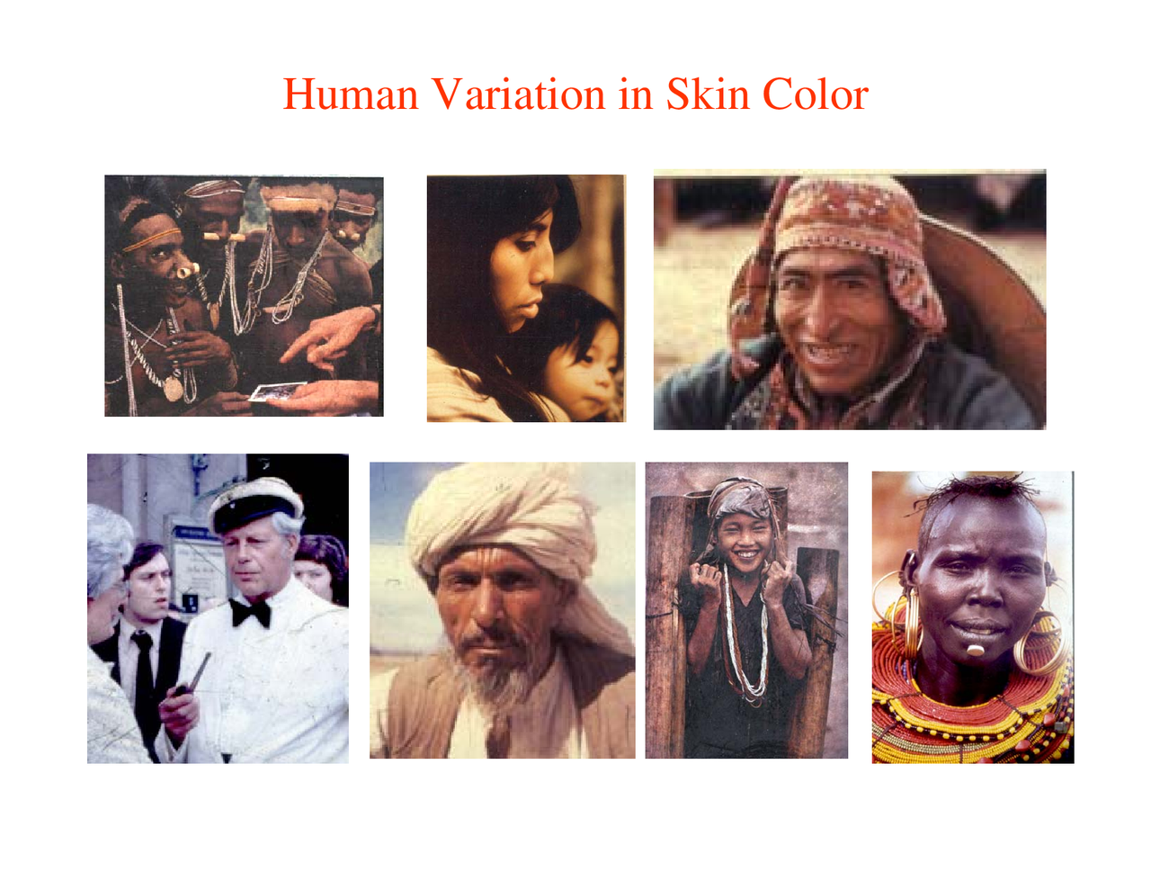 Human Variations in Skin Color - Lecture Slides | ANTH 105 - Docsity