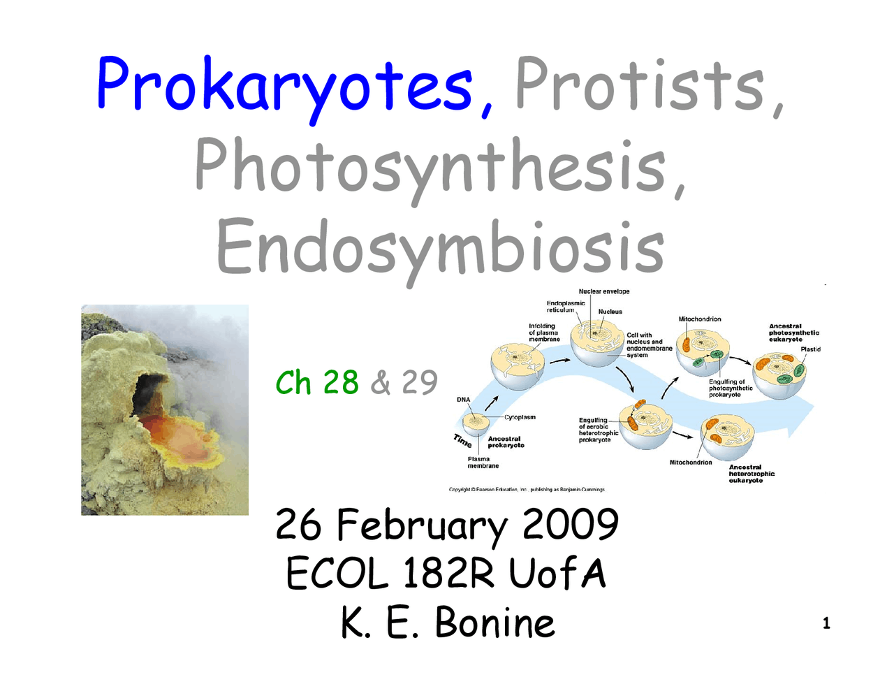 Prokaryotes, Protists, Photosynthesis, Endosymbiosis - Introductory ...