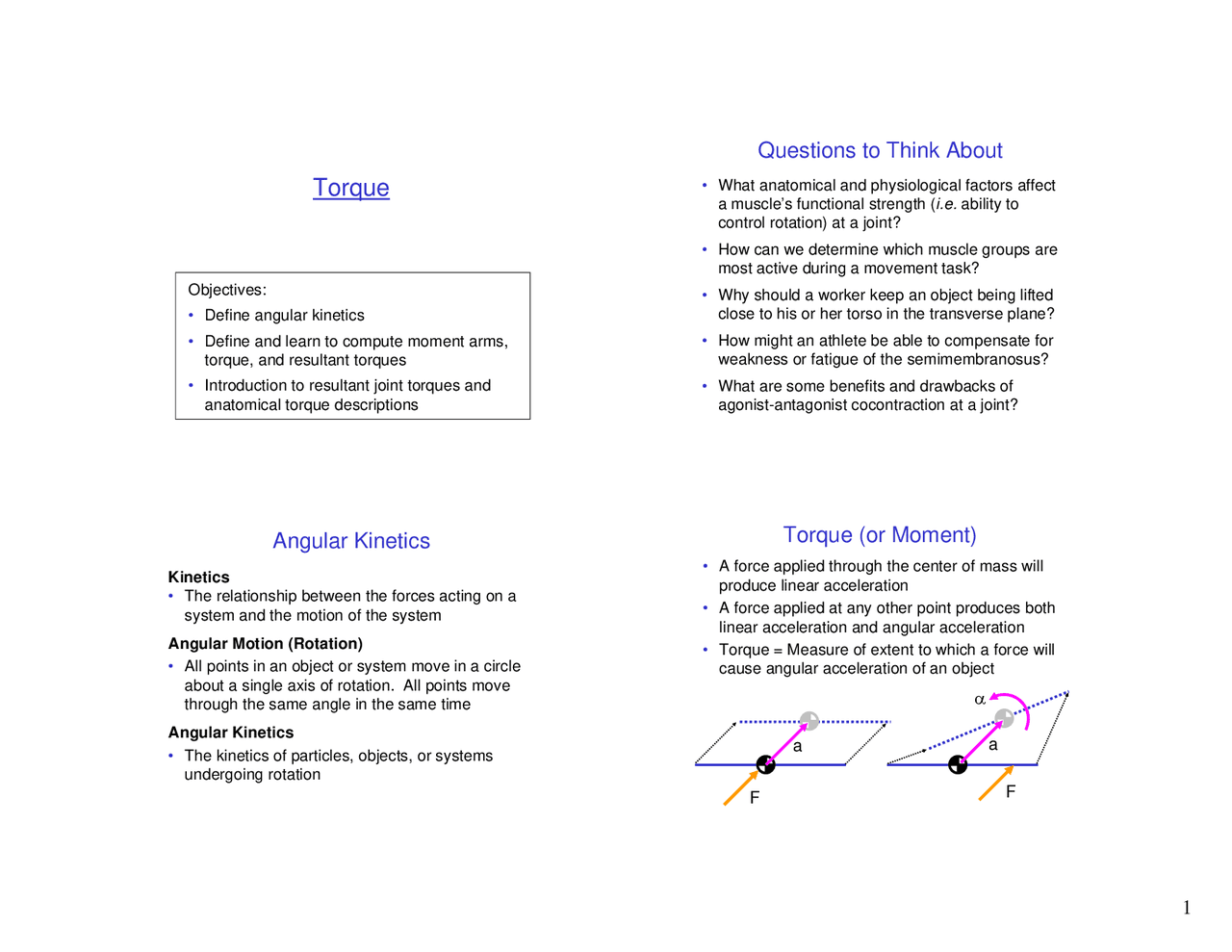 Understanding Angular Kinetics, Torque & Moment Arms: Anatomical ...