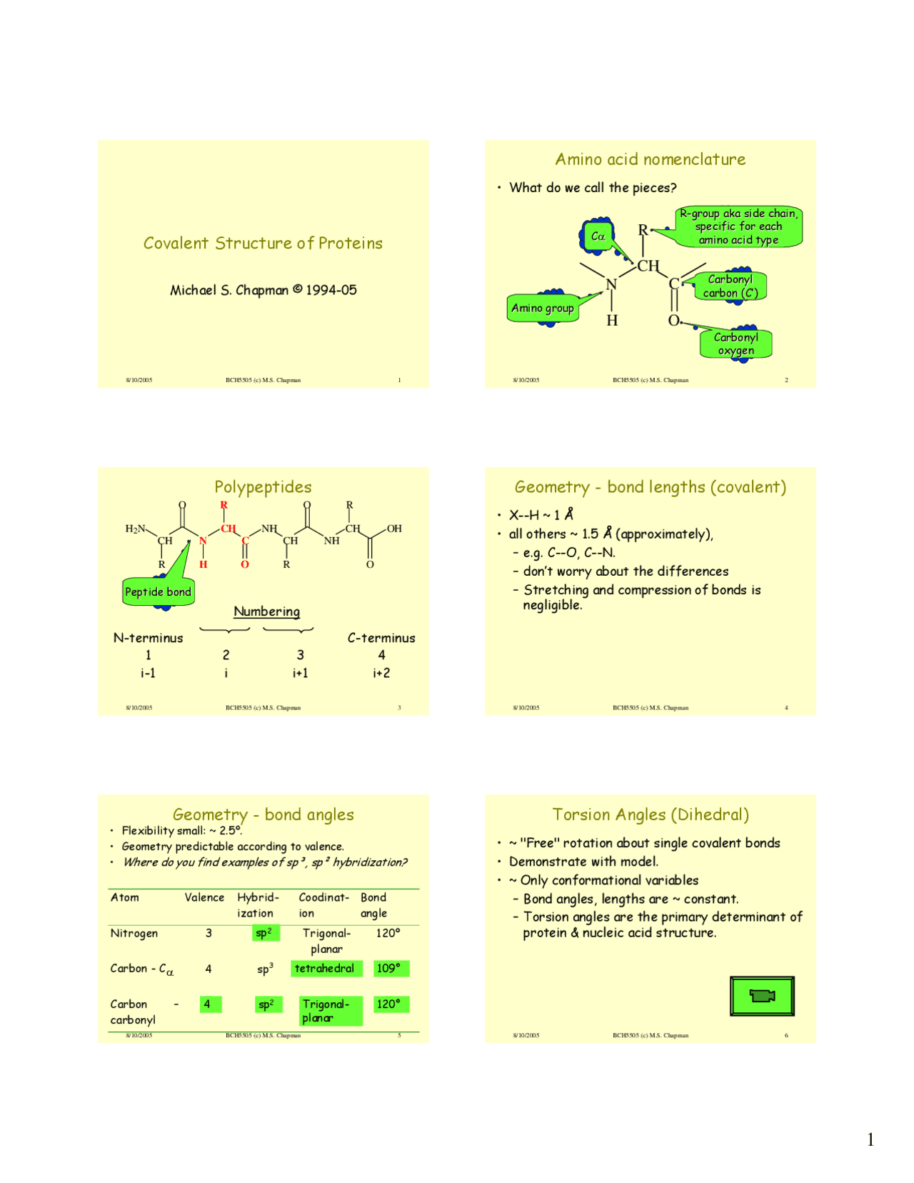 Covalent Structure Of Proteins Lecture Slides Bch 5505 Docsity