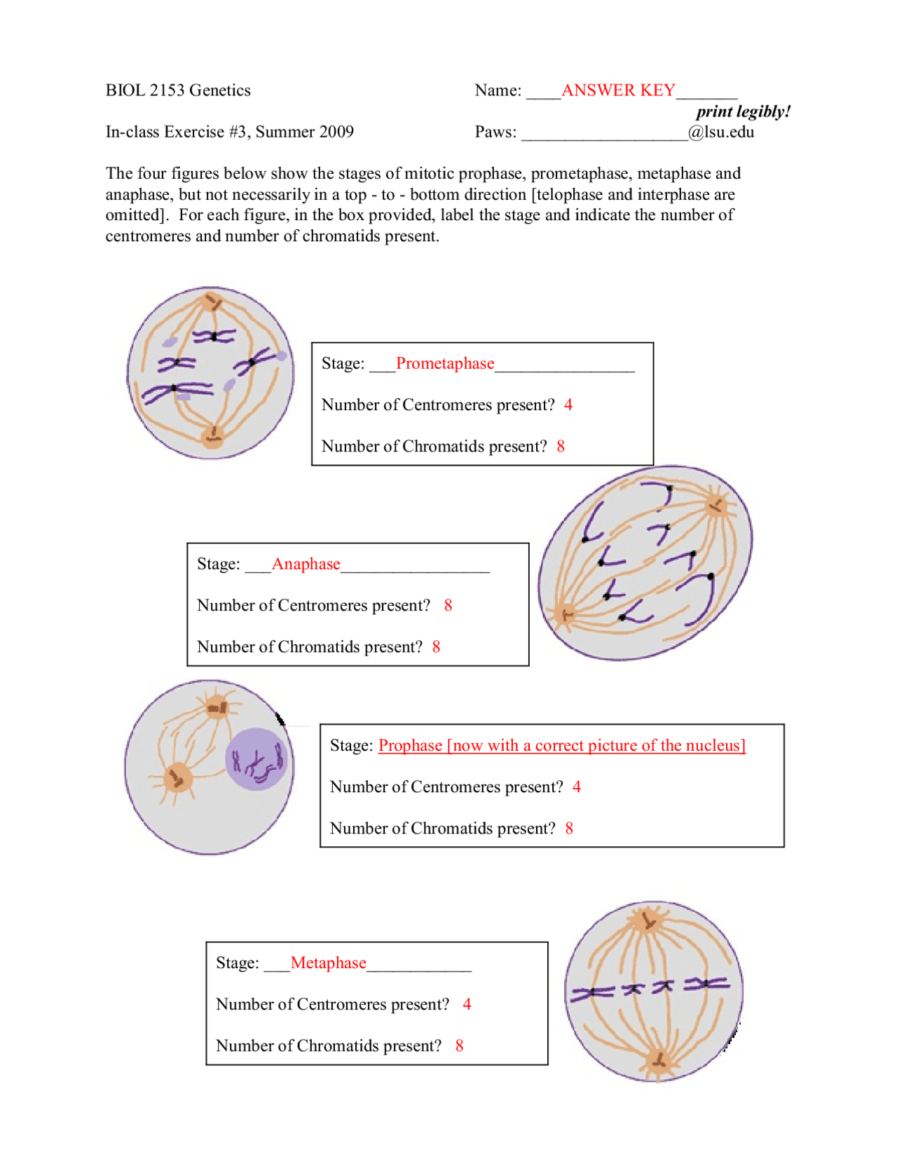 Exercise 3 With Answer Key Principles Of Genetics Biol 2153 Docsity