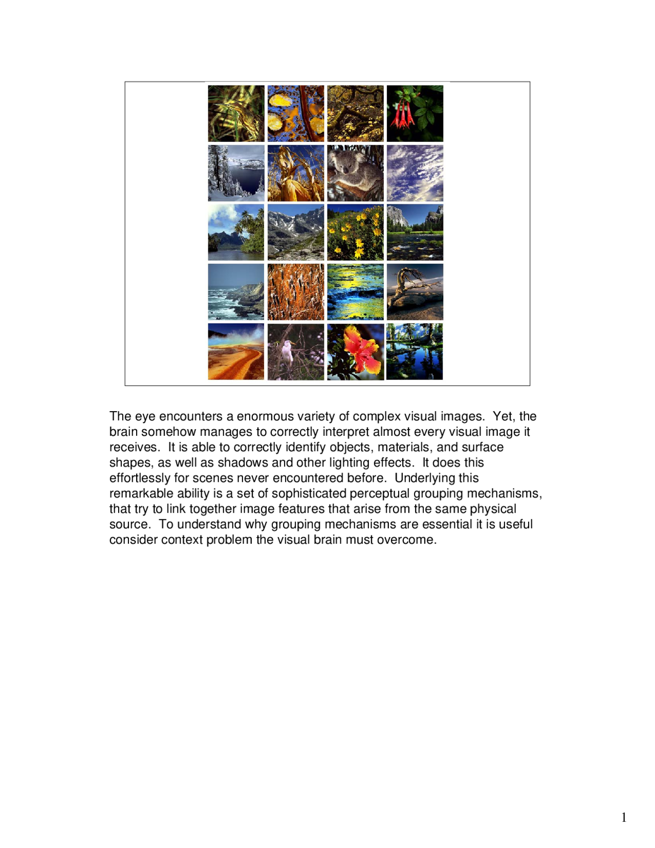 Five Difficult Problems For Vision Systems Lecture Slides Psy 323