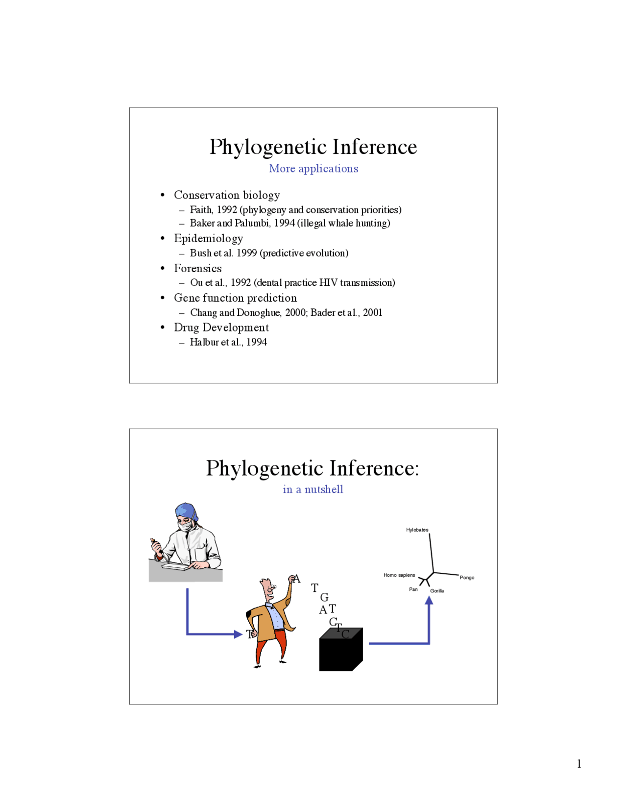 Lecture Slide On Phylogenetics Interference Bsc 5936 Docsity