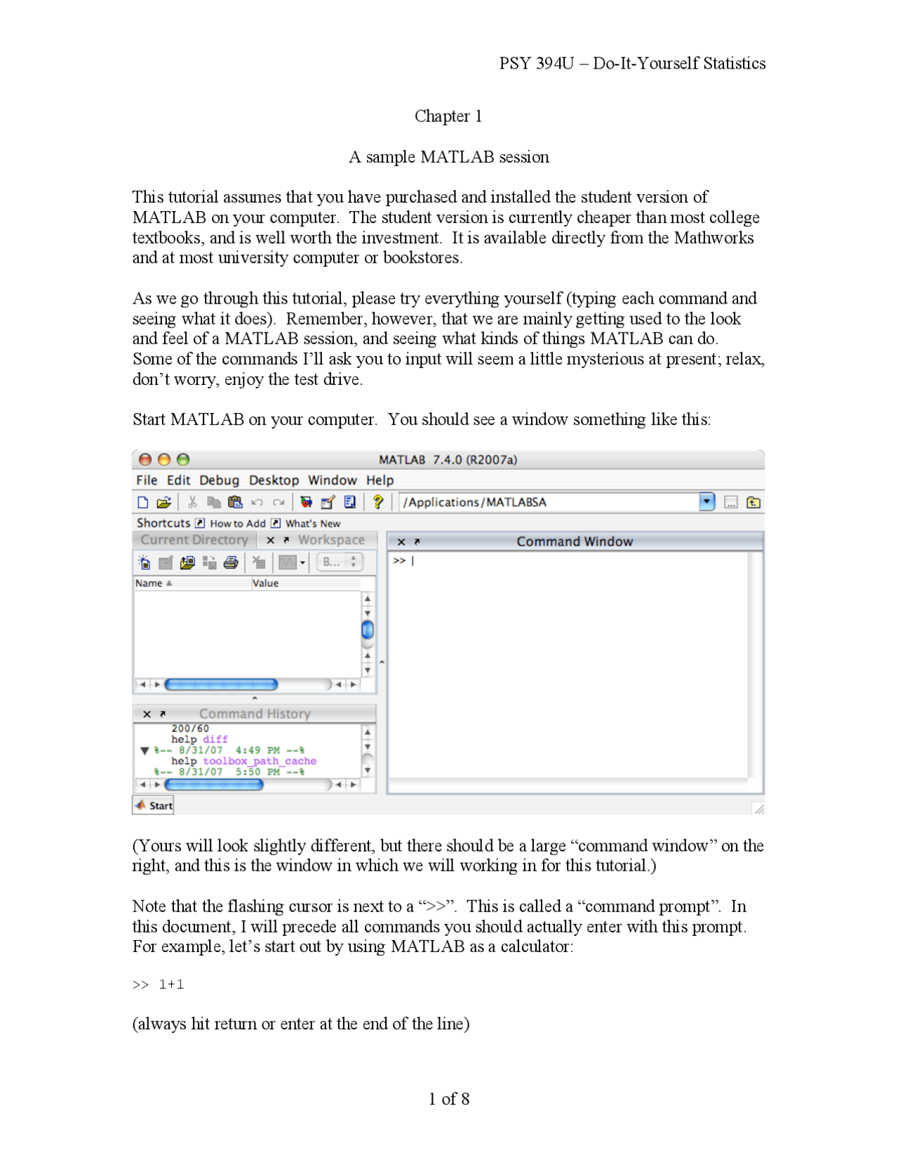 A sample MATLAB session, Do-It-Yourself Statistics | PSY 394U - Docsity
