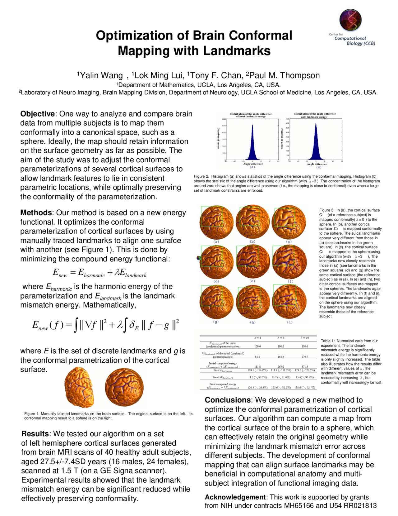 Optimization Of Brain Conformal Mapping With Landmarks Cryptography