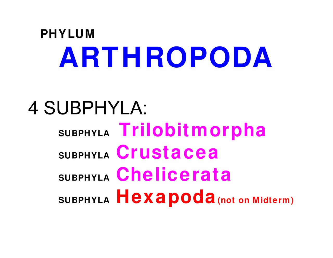 Lecture Slides On Phylum Arthropoda Bsc 2011l Docsity