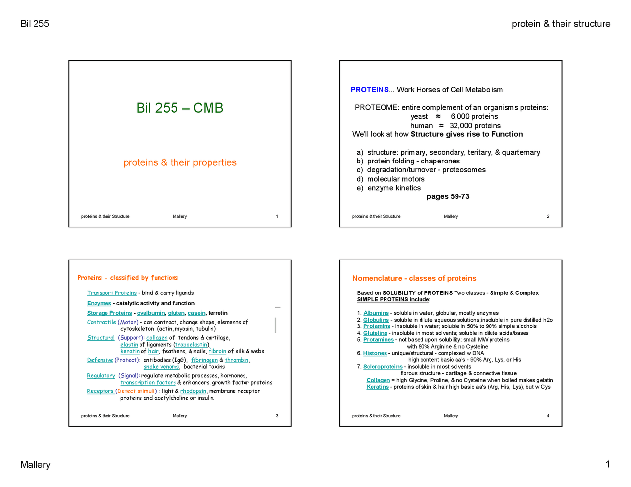 Proteins And Their Properties Lecture Slides Bil 255 Docsity