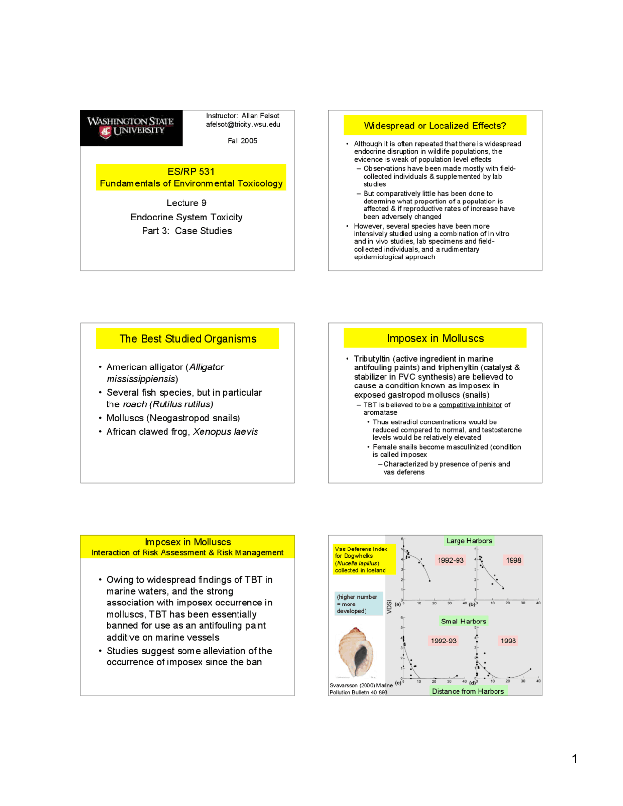 Lecture Slides on Endocrine System Toxicity | ES/RP 531 - Docsity