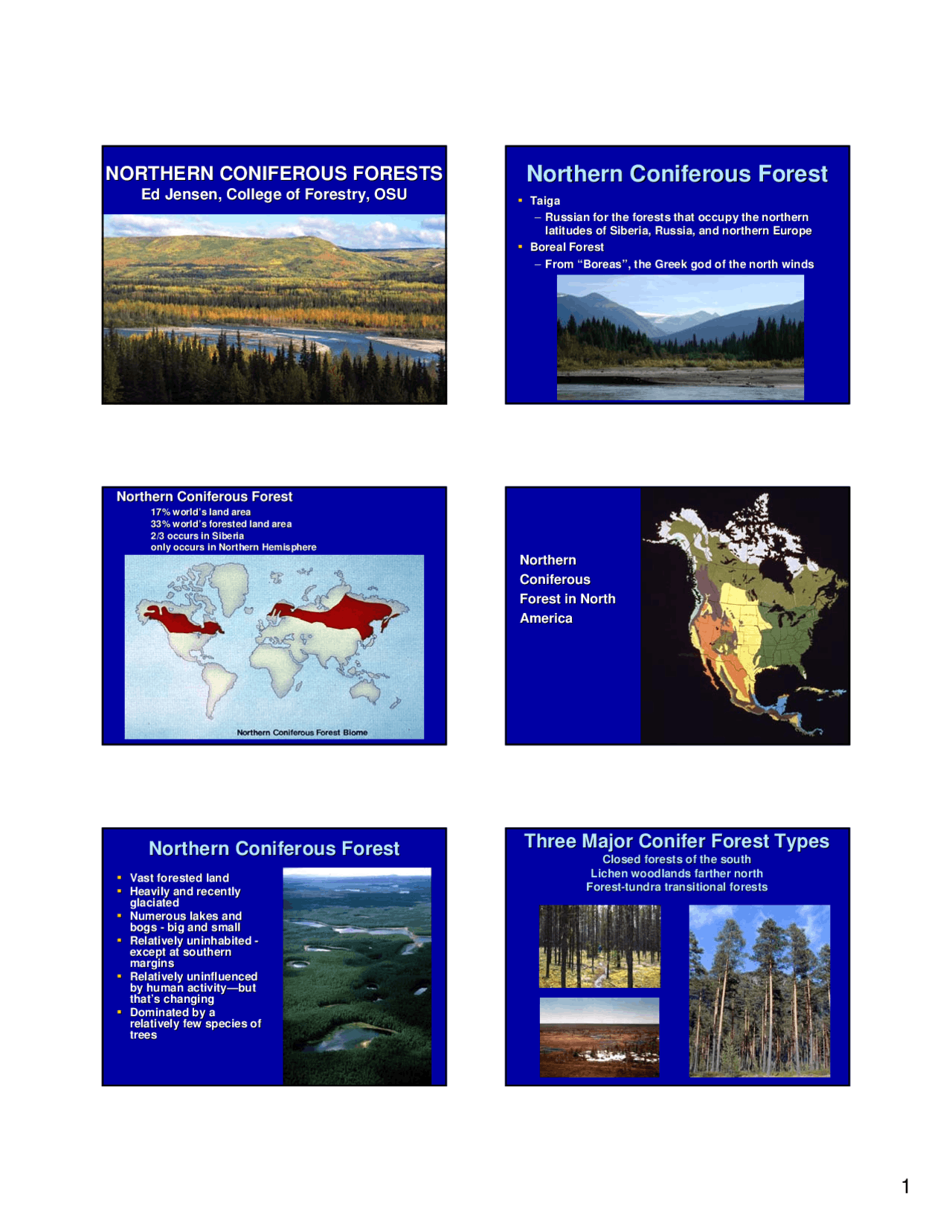 Northwestern Coniferous Forest Biome