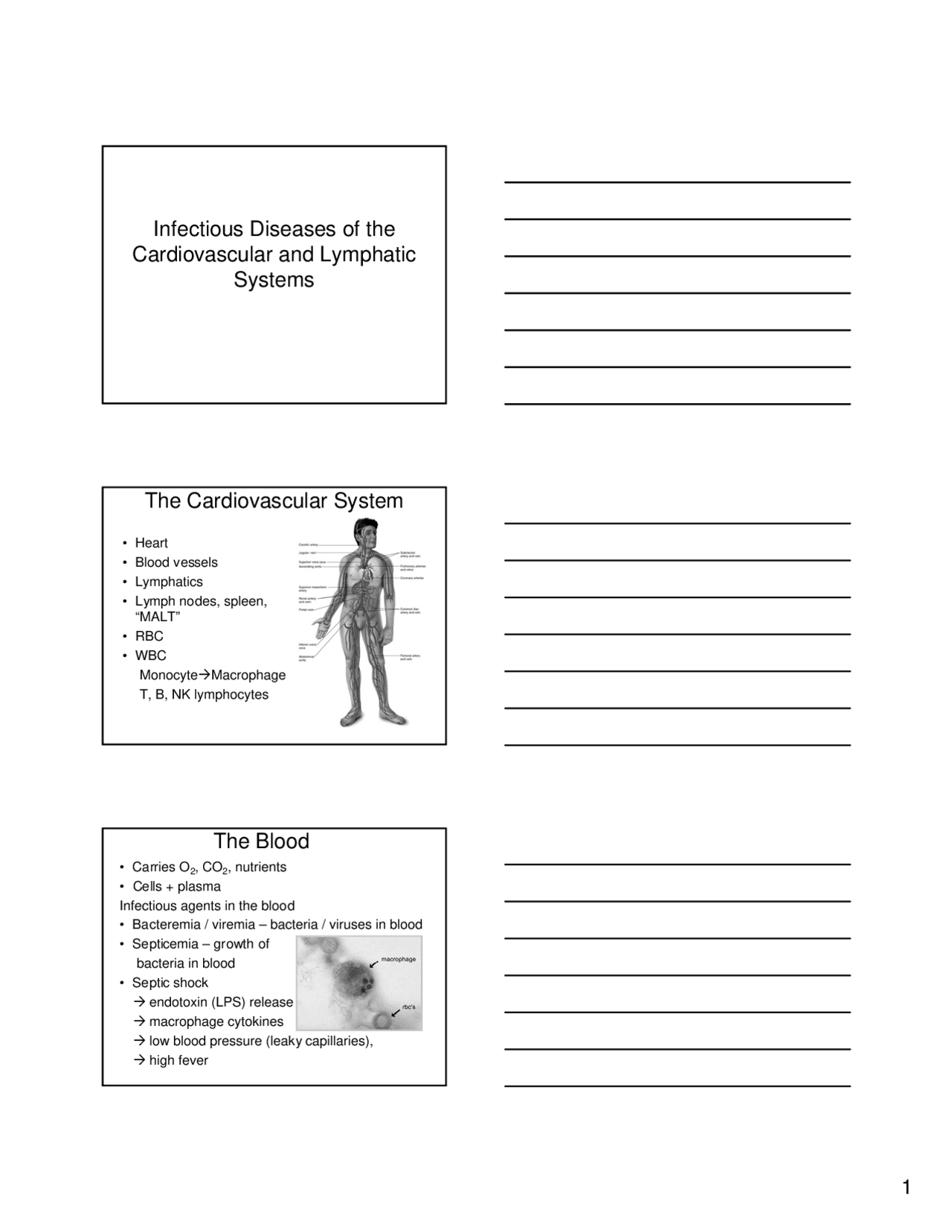 Infectious Diseases of the Cardiovascular and Lymphatic System | MIC ...