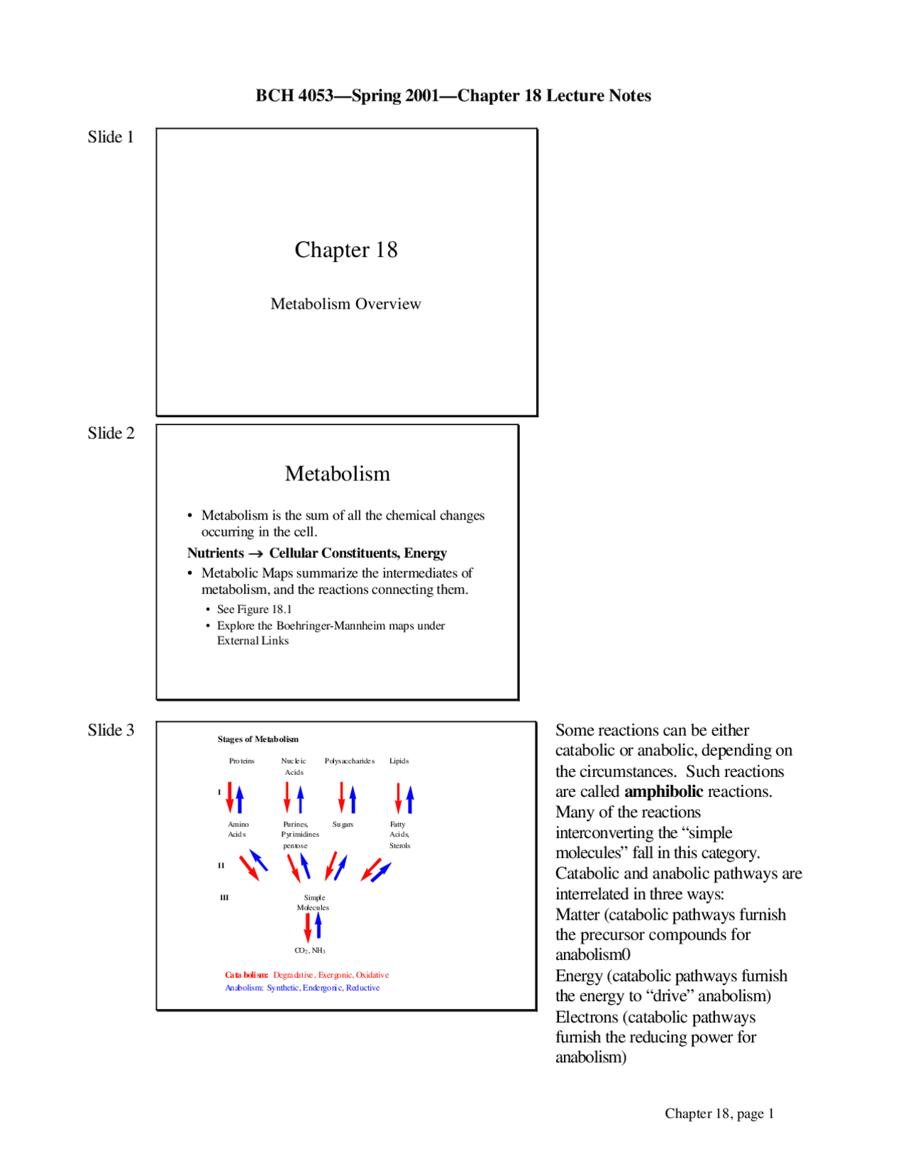 Overview Of Metabolism Lecture Slides Bch 4053 Docsity