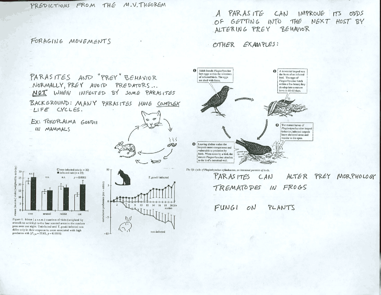 Notes On Predation Parasites And Behaviors General Ecology Pcb