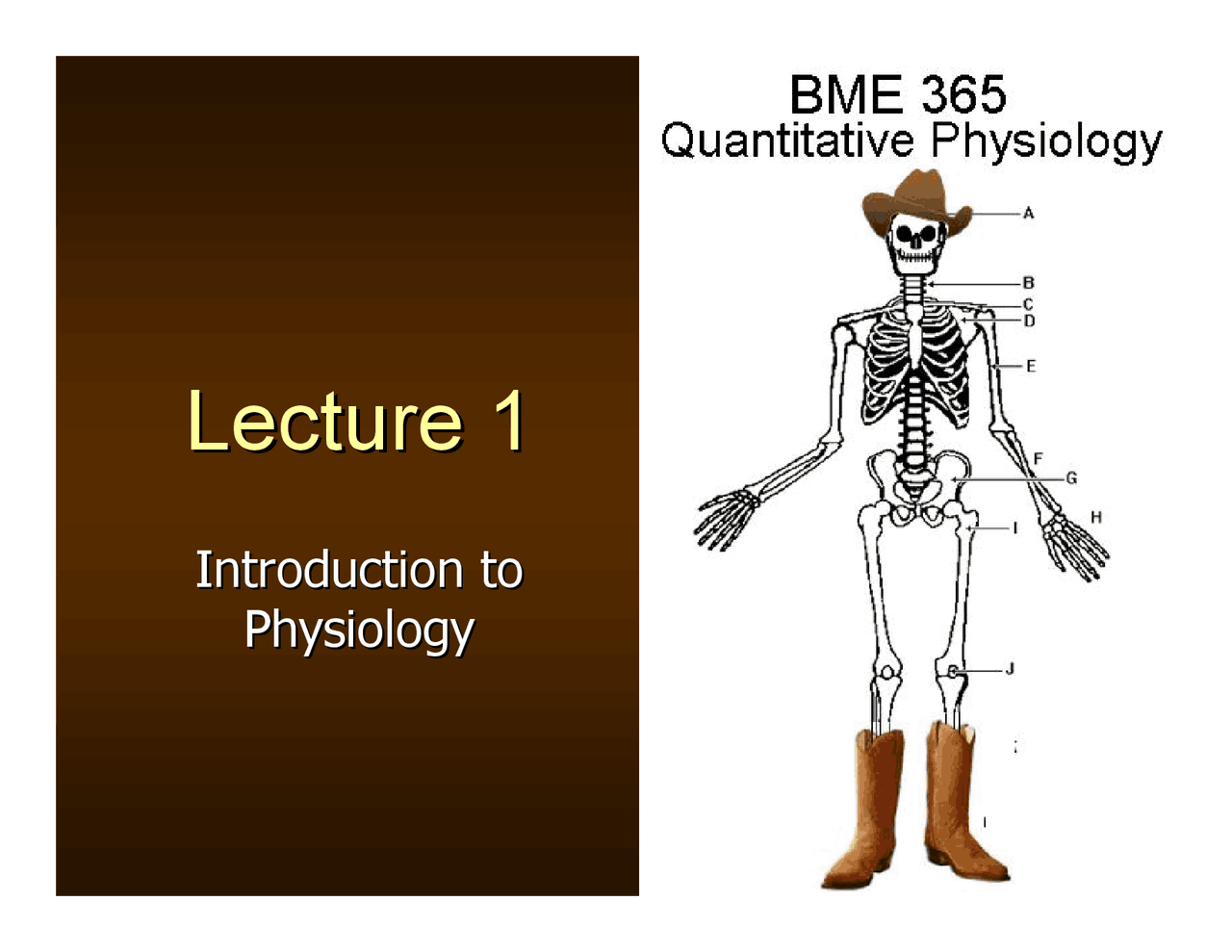 Introduction To Psychology Lecture Slides Bme 365r Docsity