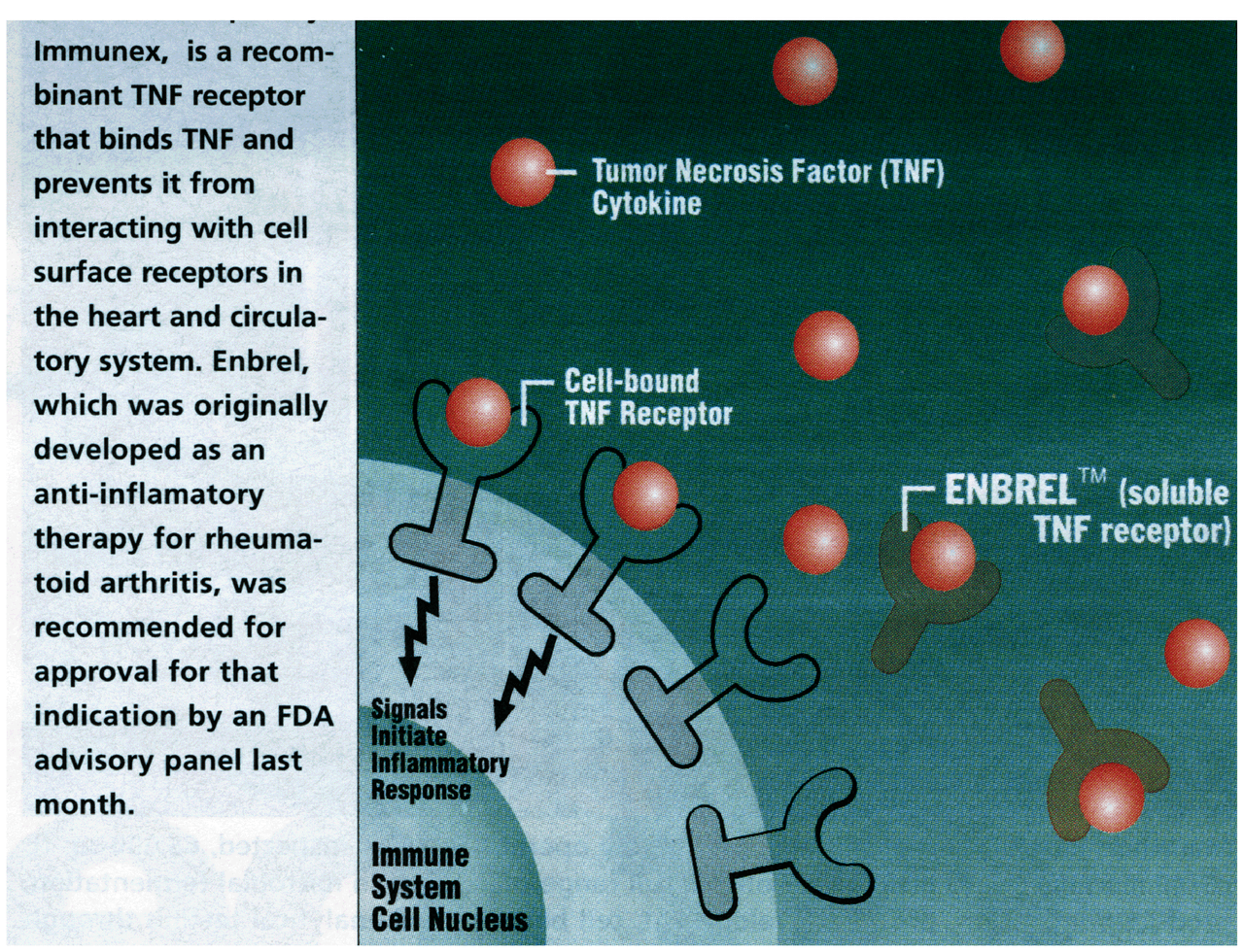 Benchtop Purification, Flow Diagrams, Unit Operations, DSP Strategy | MBioS 574 - Docsity