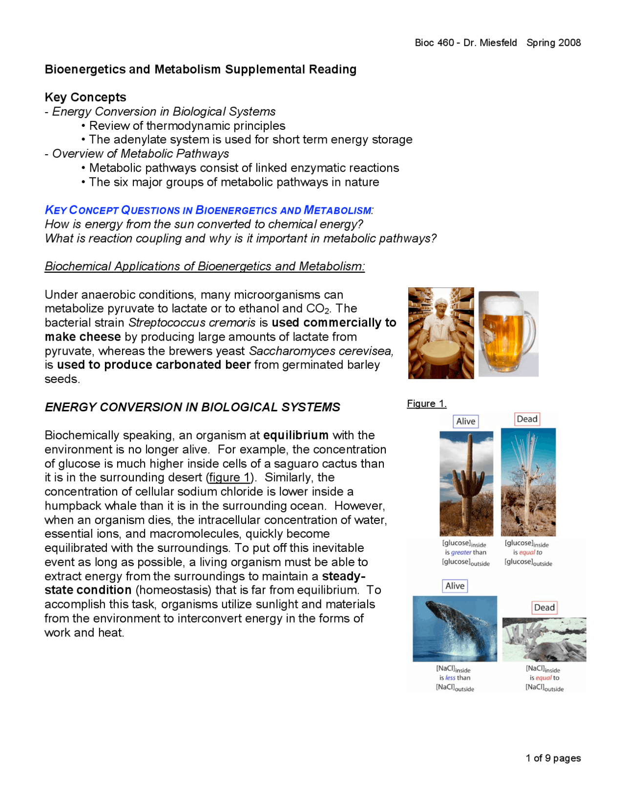 Bioenergetics and Metabolism Supplemental Reading Review Sheet | BIOC ...