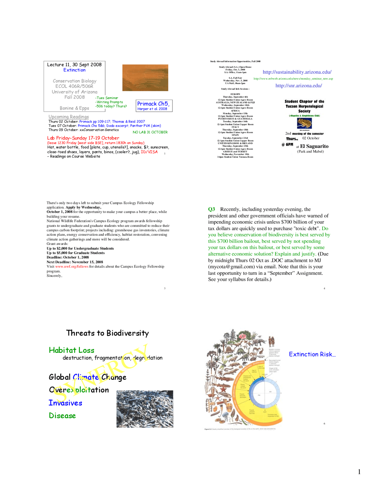 Extinction Risk Lecture Slides Ecol 406r Docsity