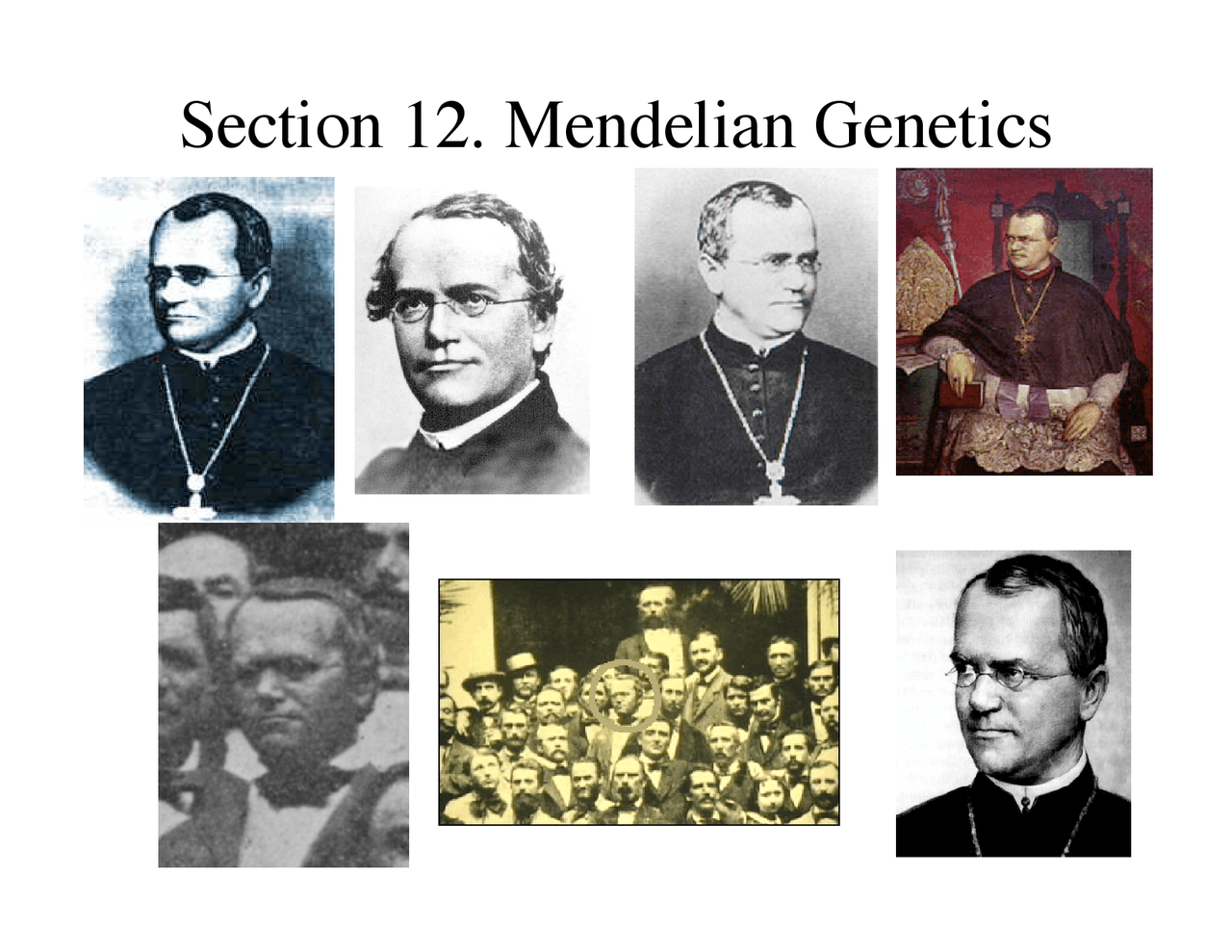 Lecture Slides On Mendelian Genetics Ecol 320 Docsity