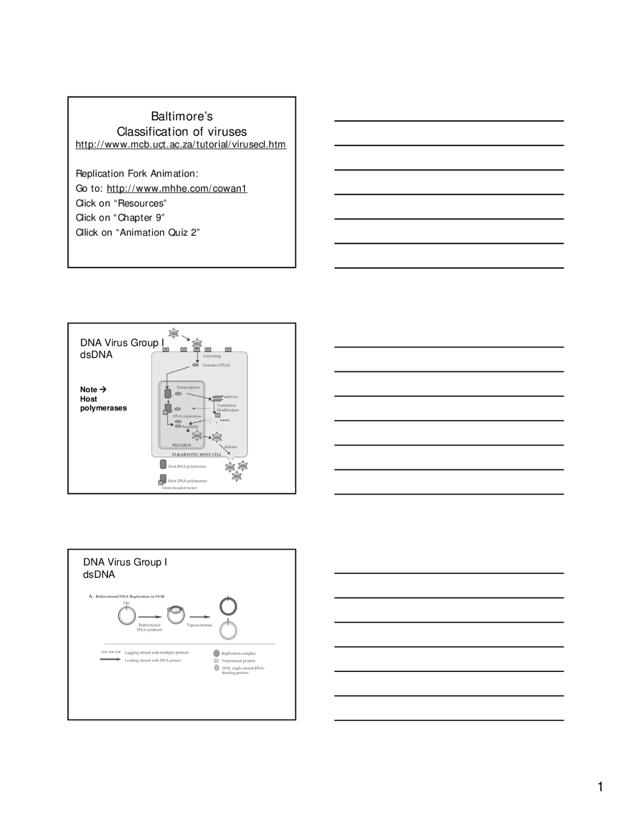 Baltimores Classification Of Viruses Lecture Slides Mic 433 Docsity